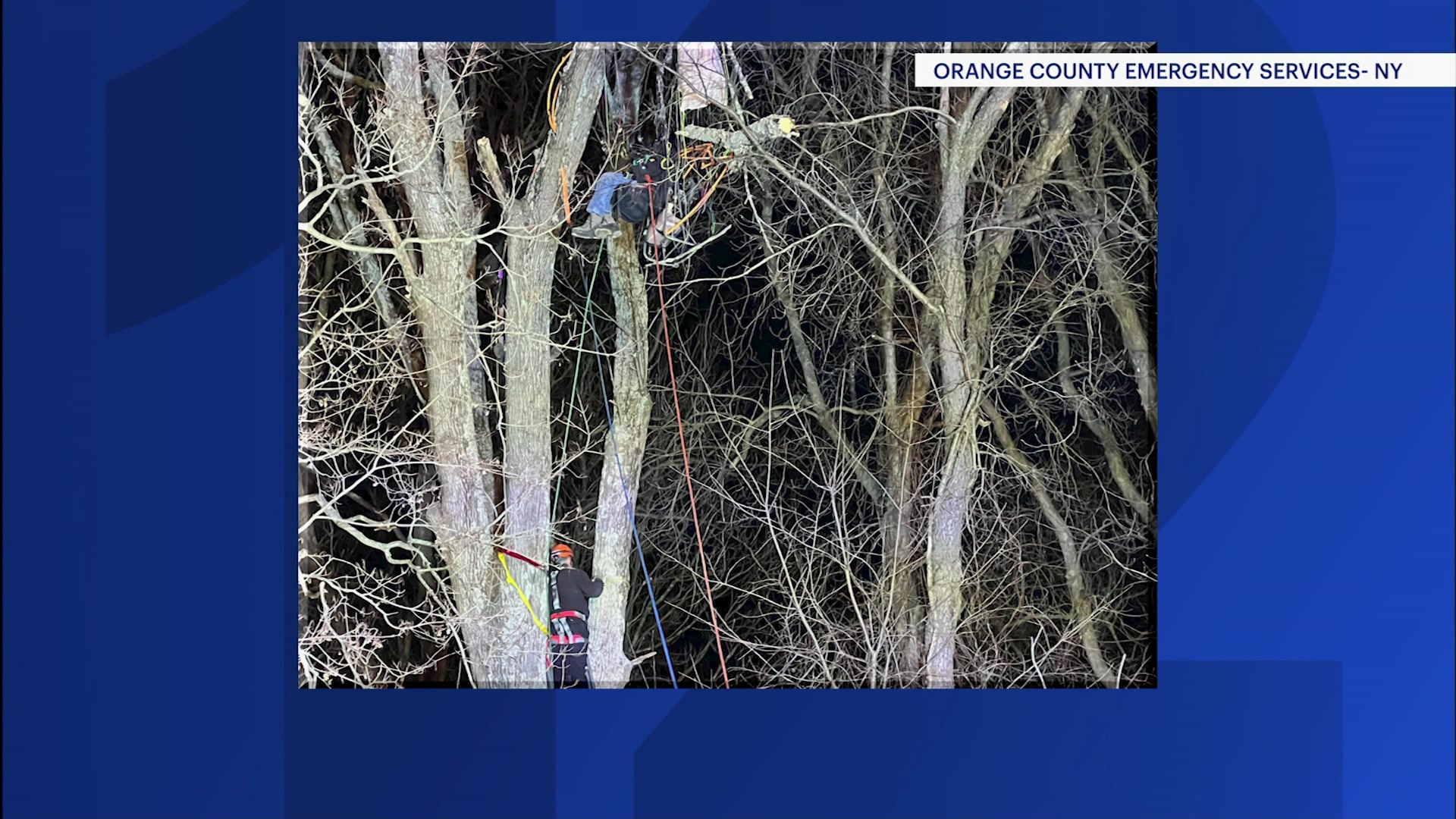 Skydiver rescued after getting stuck in a tree