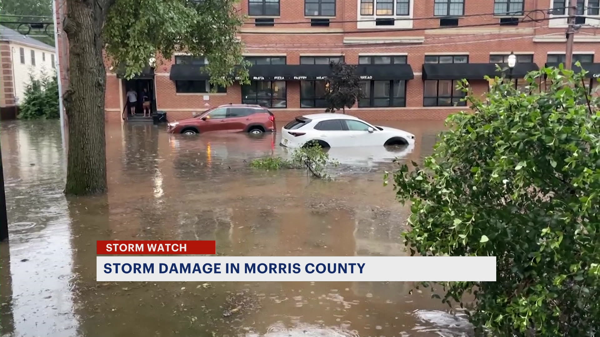 News 12 | Hudson Valley | Tuesday Storm Takes Out Trees Closes Roads ...