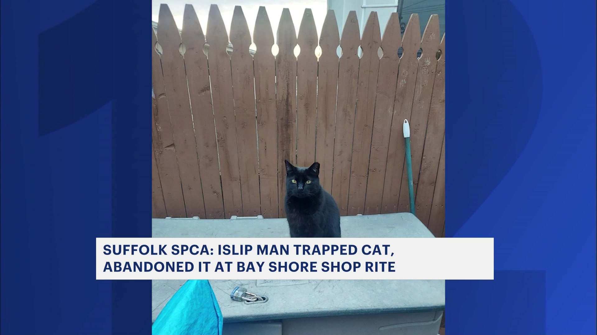 News 12 | Long Island | Suffolk Spca Islip Man Trapped And Then ...