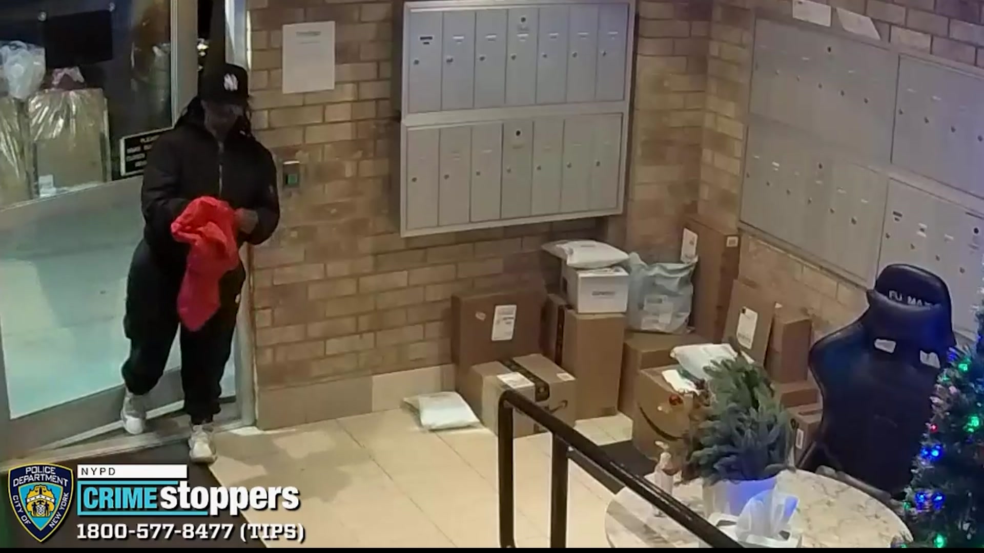 NYPD: Woman wanted for stealing packages from 2 Brooklyn buildings