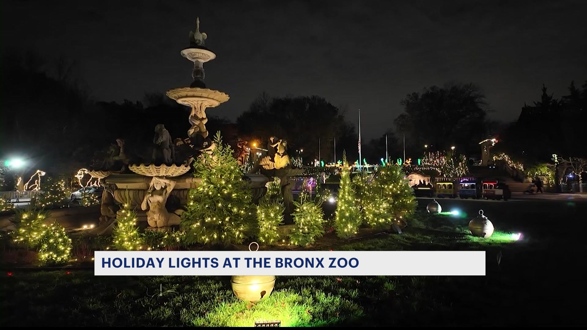 News 12 | New Jersey | 'Holiday Lights' display returns to Bronx Zoo