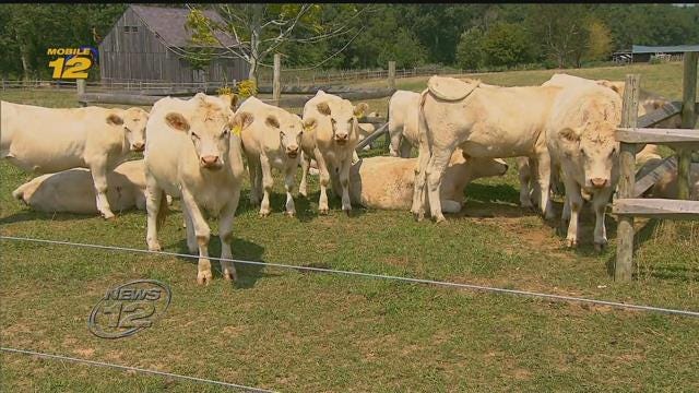 News 12 | Hudson Valley | Suffolk Seeks Bids To Refurbish Operate ...