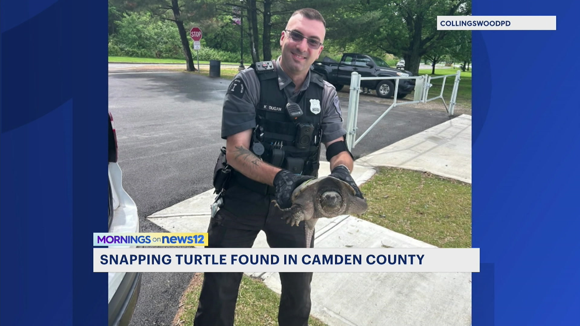 News 12 | Long Island | Collingswood Officer Rescues Snapping Turtle ...