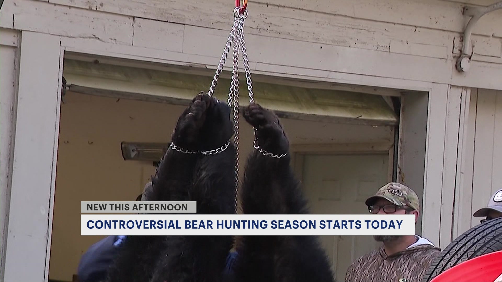 New Jersey black bear hunting season begins despite opposition