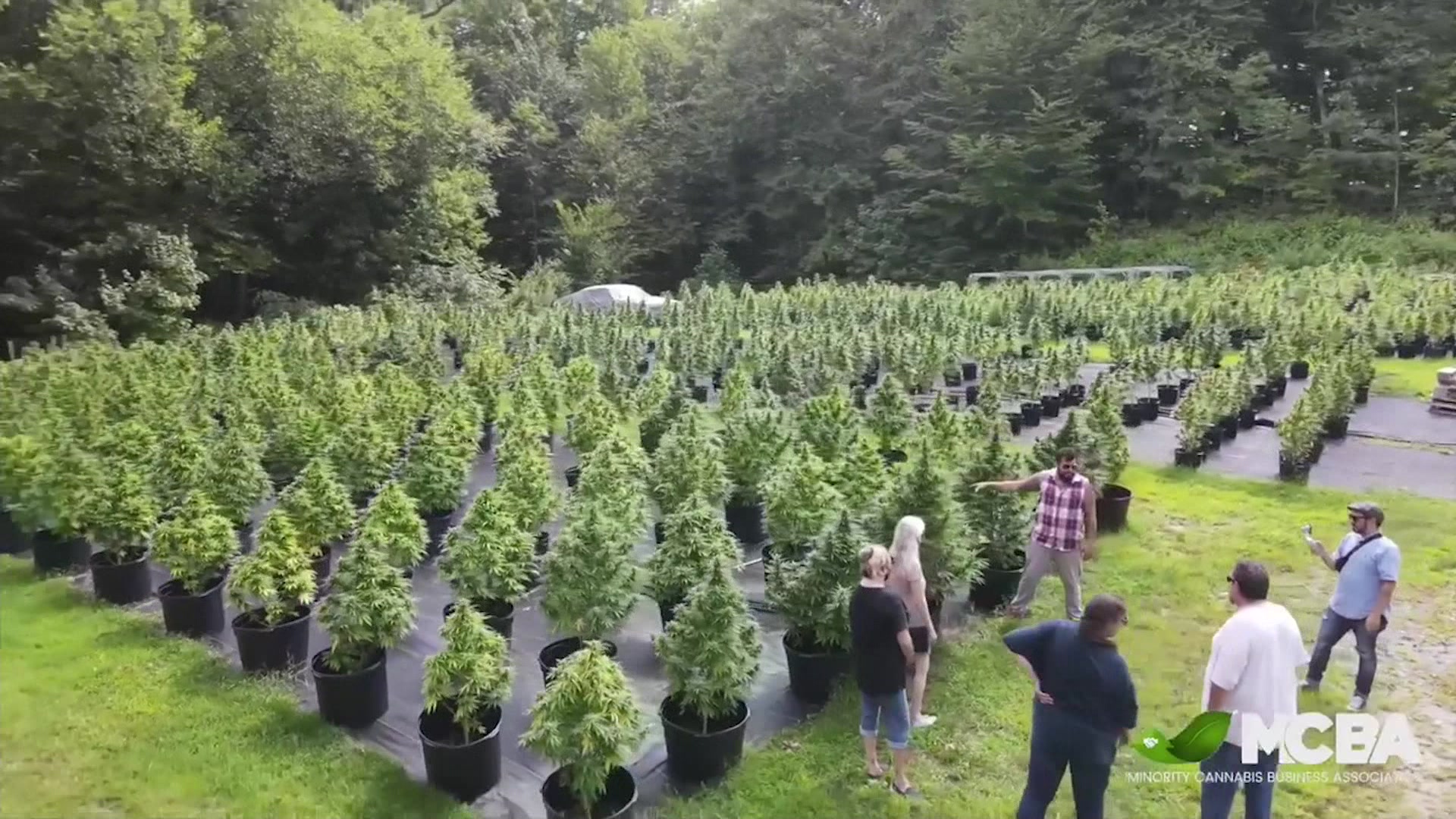 Online applications open for Connecticut retail marijuana licenses