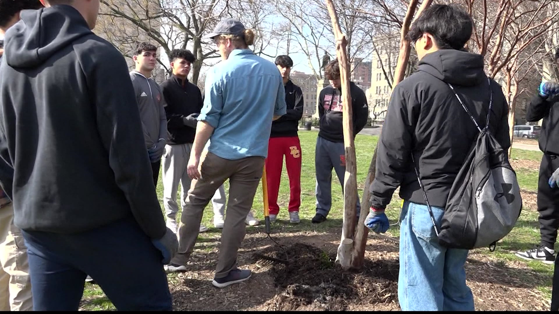 News 12 | Bronx | Students Join Bronx Nonprofit To Restore Trees At ...