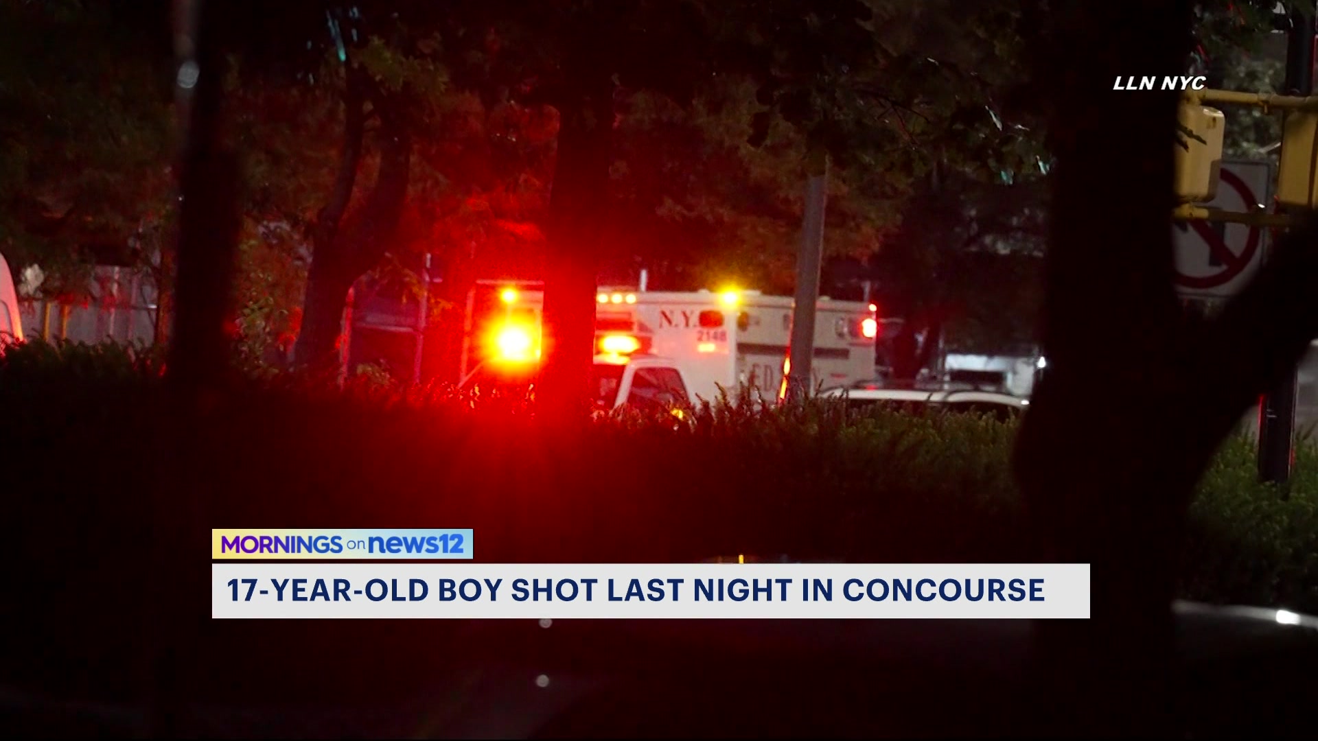News 12 | The Bronx | NYPD: 17-year-old shot in the leg overnight at ...