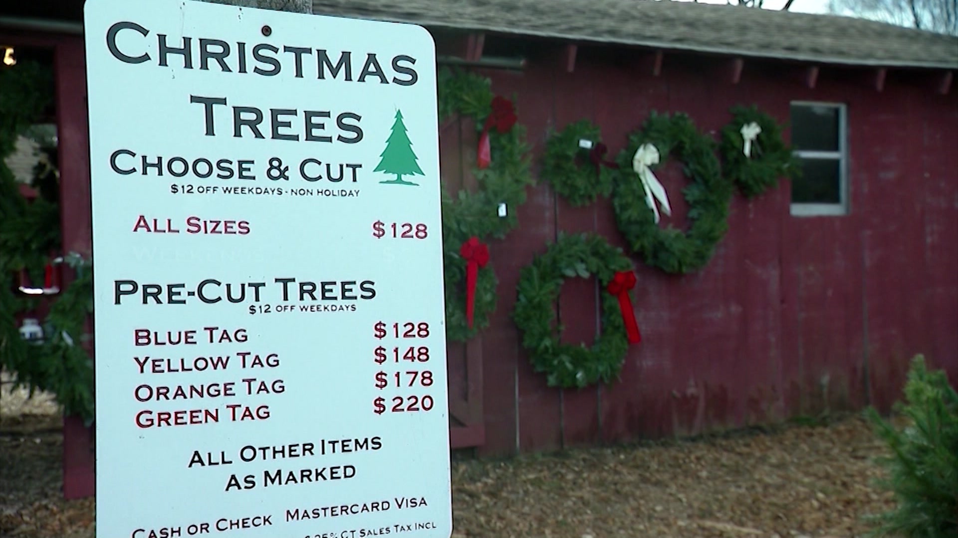 Seasonal sniffles: Know the signs of Christmas Tree Syndrome