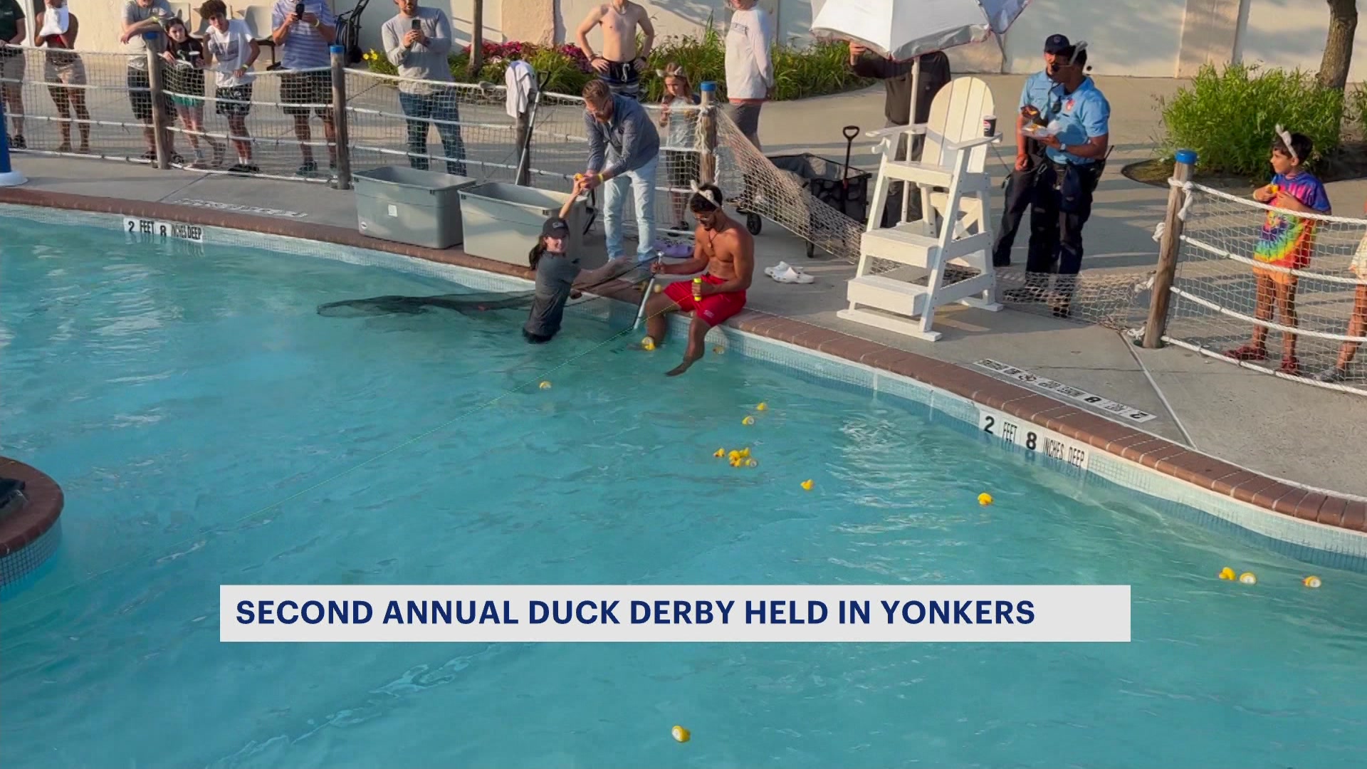 News 12 | Long Island | Yonkers Duck Derby fills lazy river with rubber ...