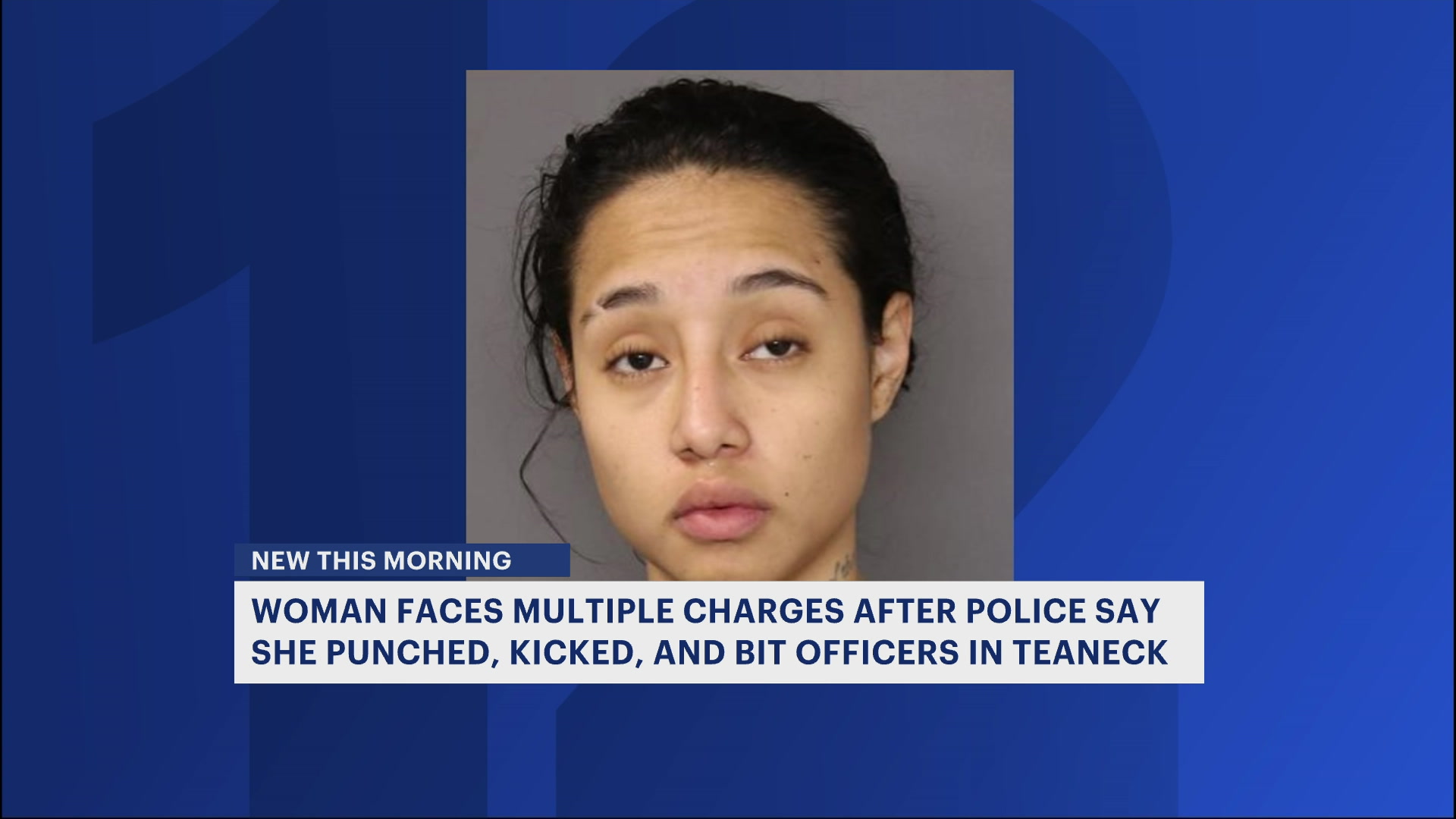 News 12 | New Jersey | Woman Accused Of Attacking Teaneck Officer While ...