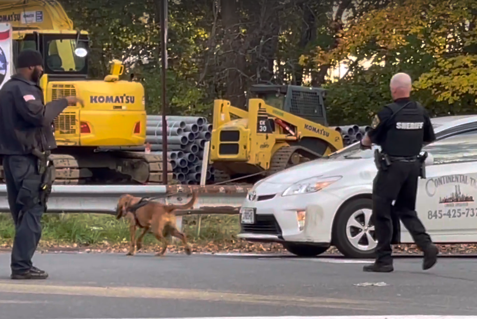 Suspect in custody in connection to midday stabbing in Spring Valley