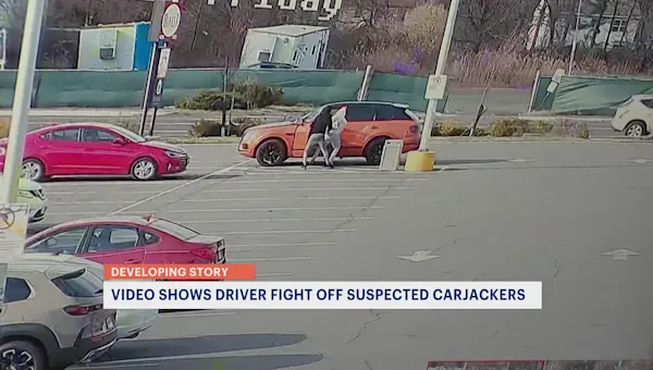 Surveillance video shows driver fight off suspected carjackers in Edison Surveillance video shows driver fight off suspected carjackers in Edison