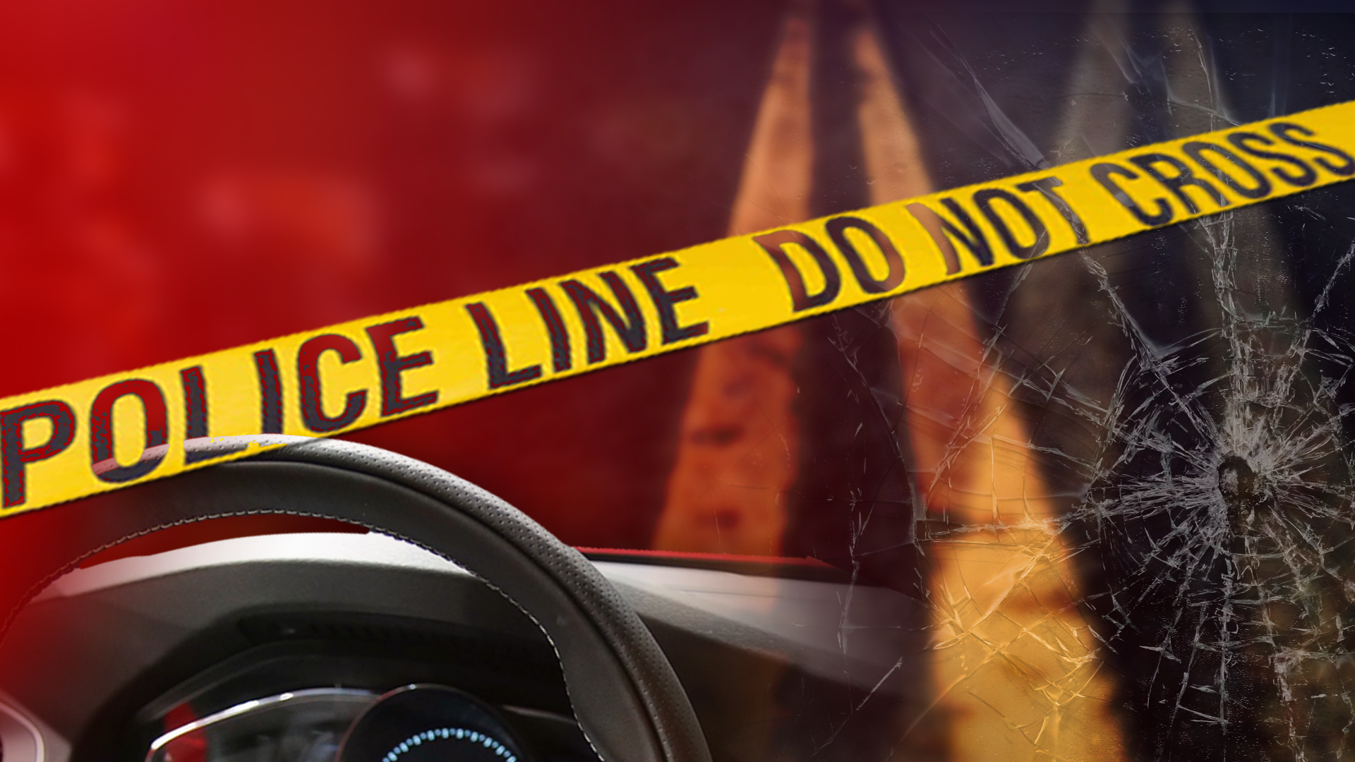 News 12 | Long Island | Police Downed Tree Impales Drivers Leg In ...