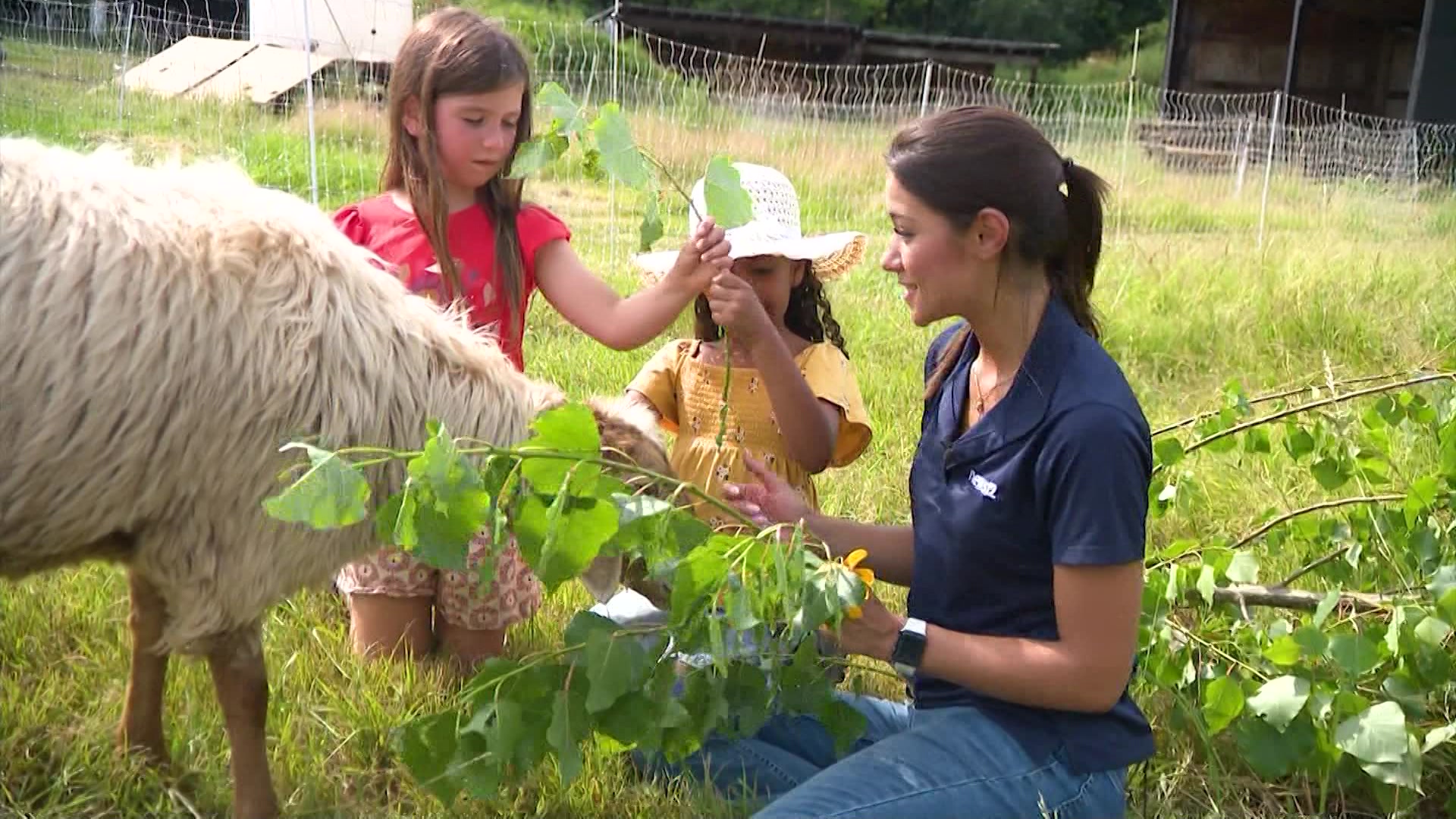 News 12 | Long Island | All for One One for All Farm in Goshen offers ...