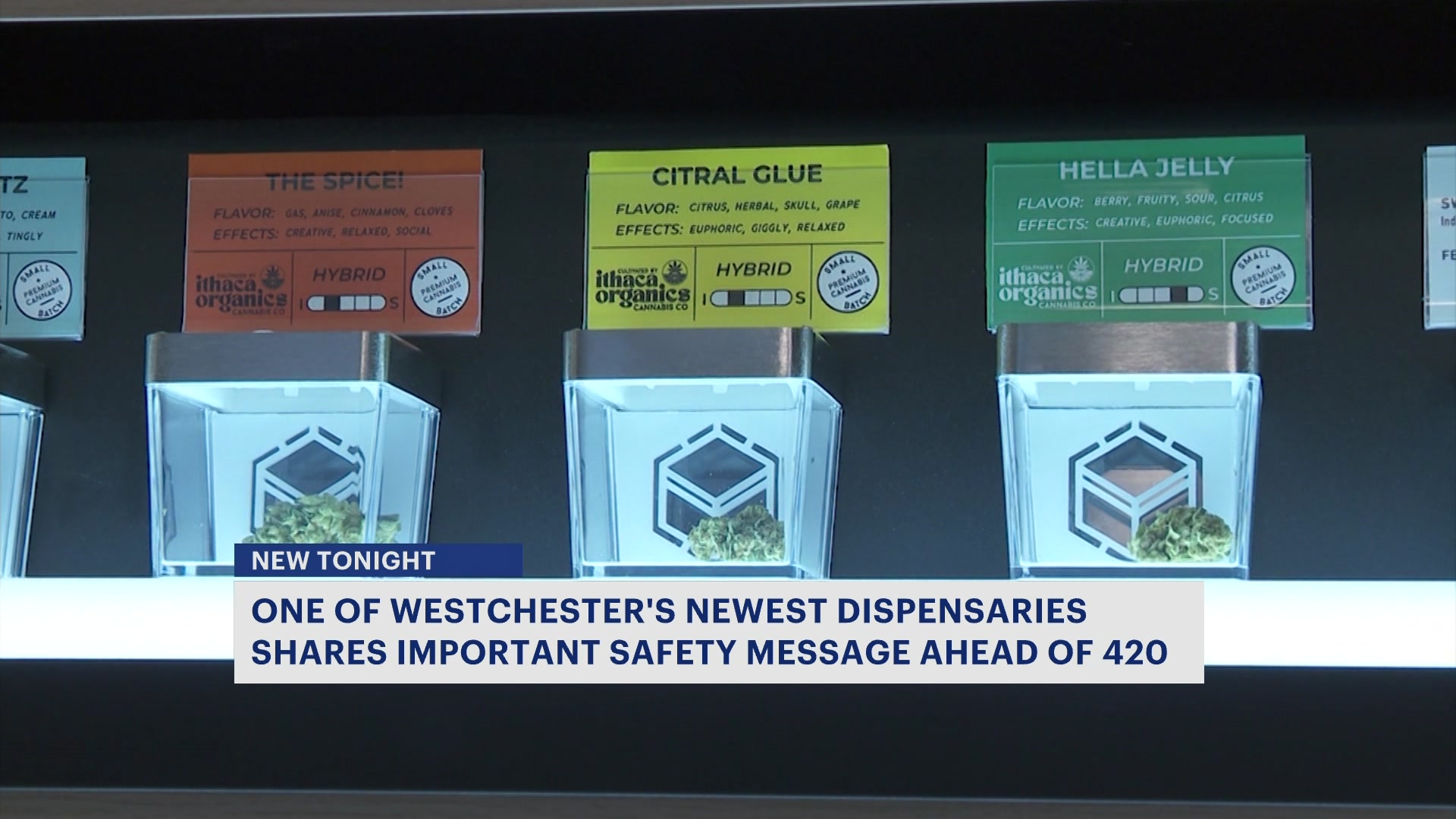 Cannabis experts give 4/20 safety tips