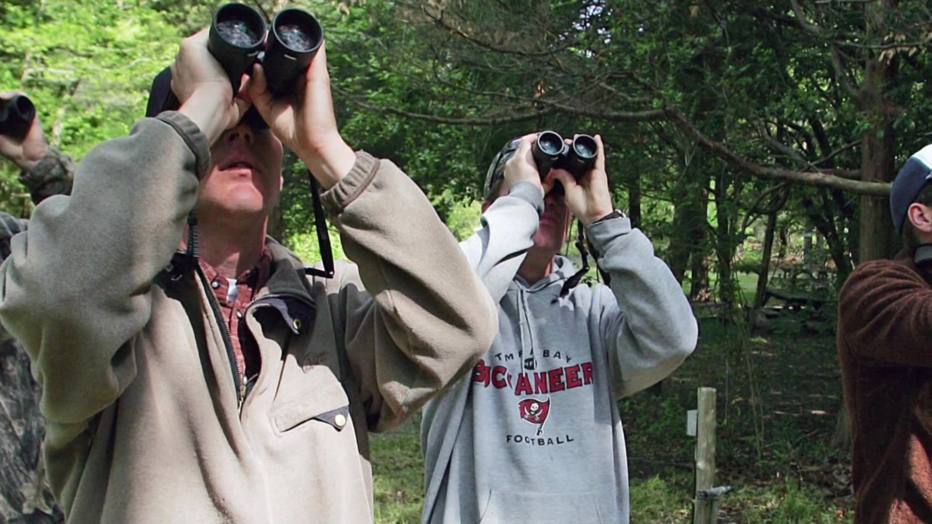 News 12 | New Jersey | Bird watchers to compete in World Series of ...