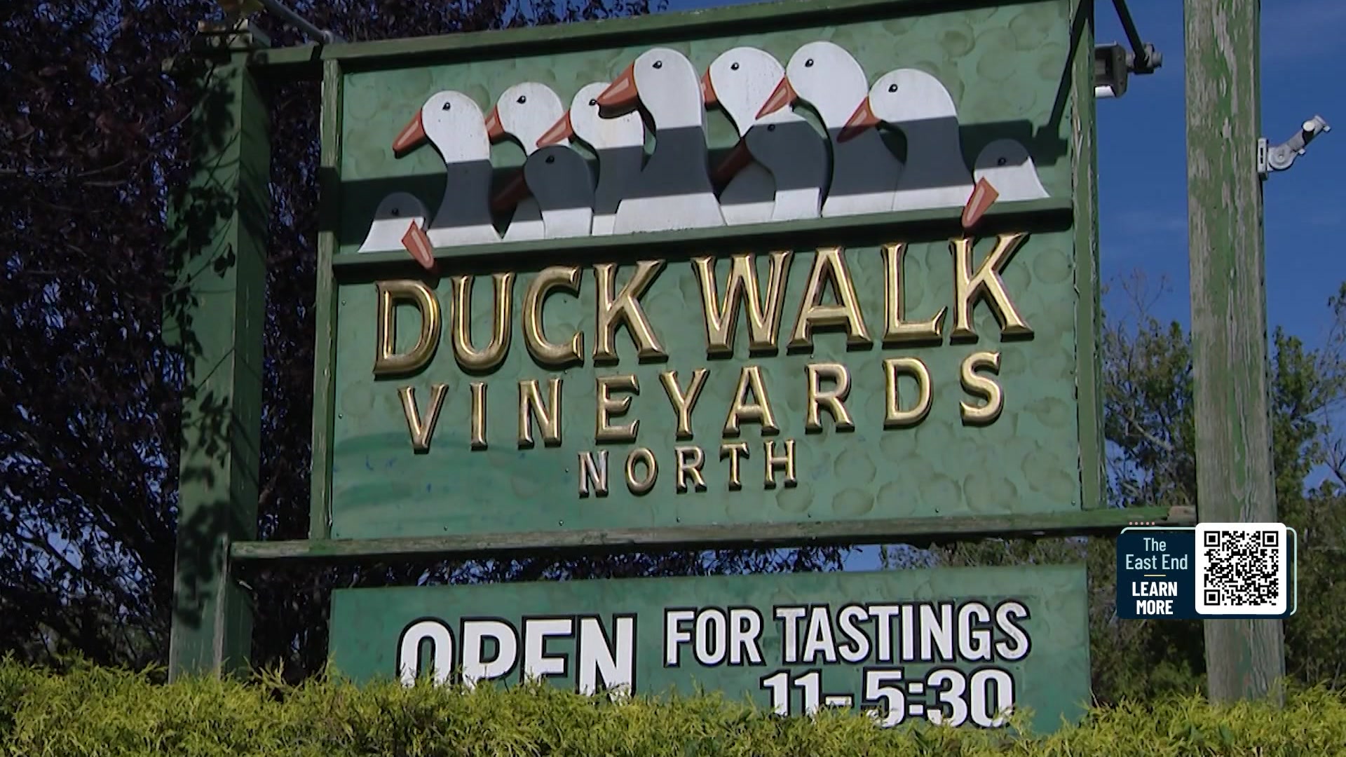News 12 | Long Island | East End Duck Walk Vineyards