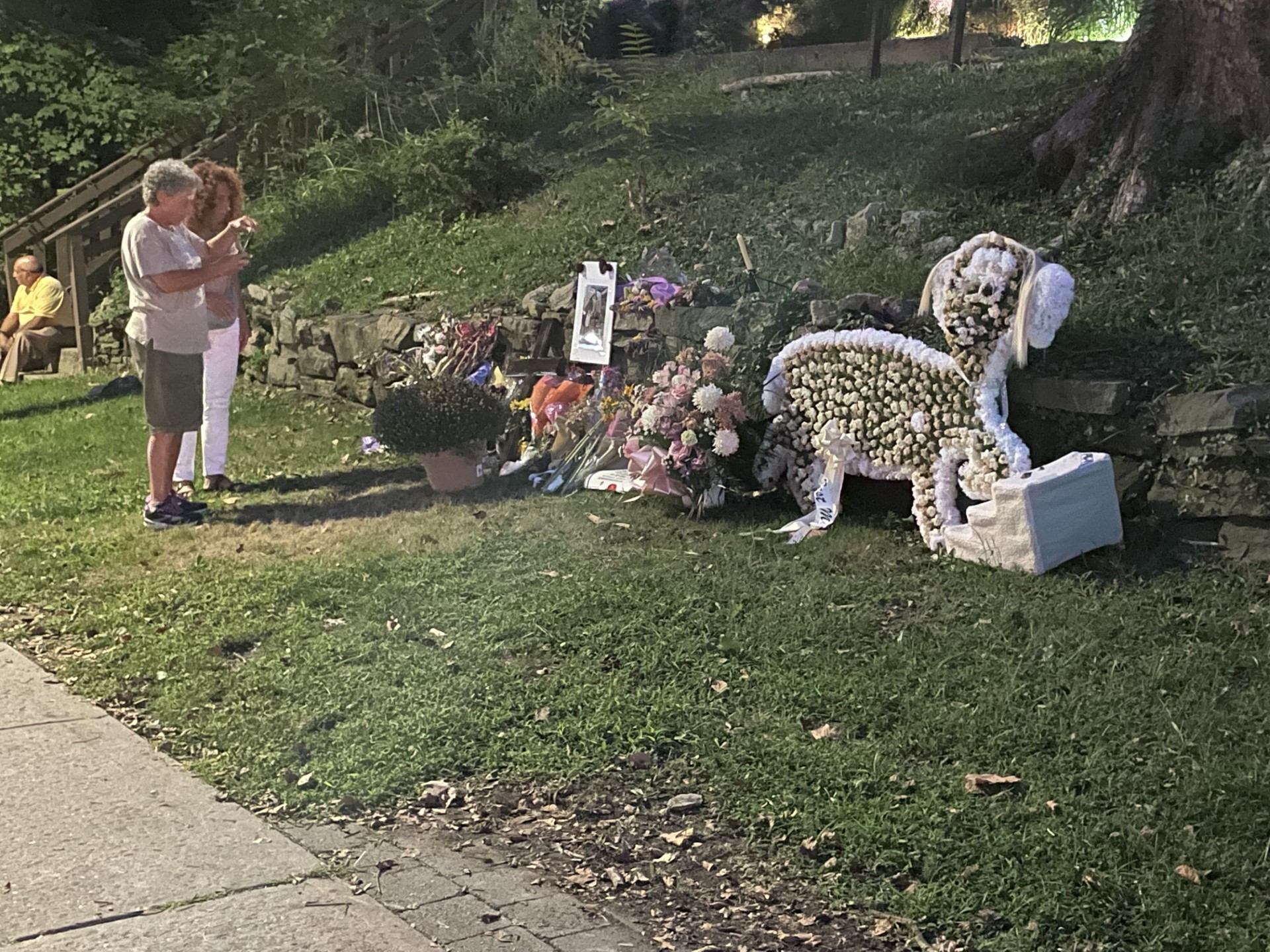 News 12 | Westchester | Greenburgh Eyes Pedestrian Safety Plan After ...