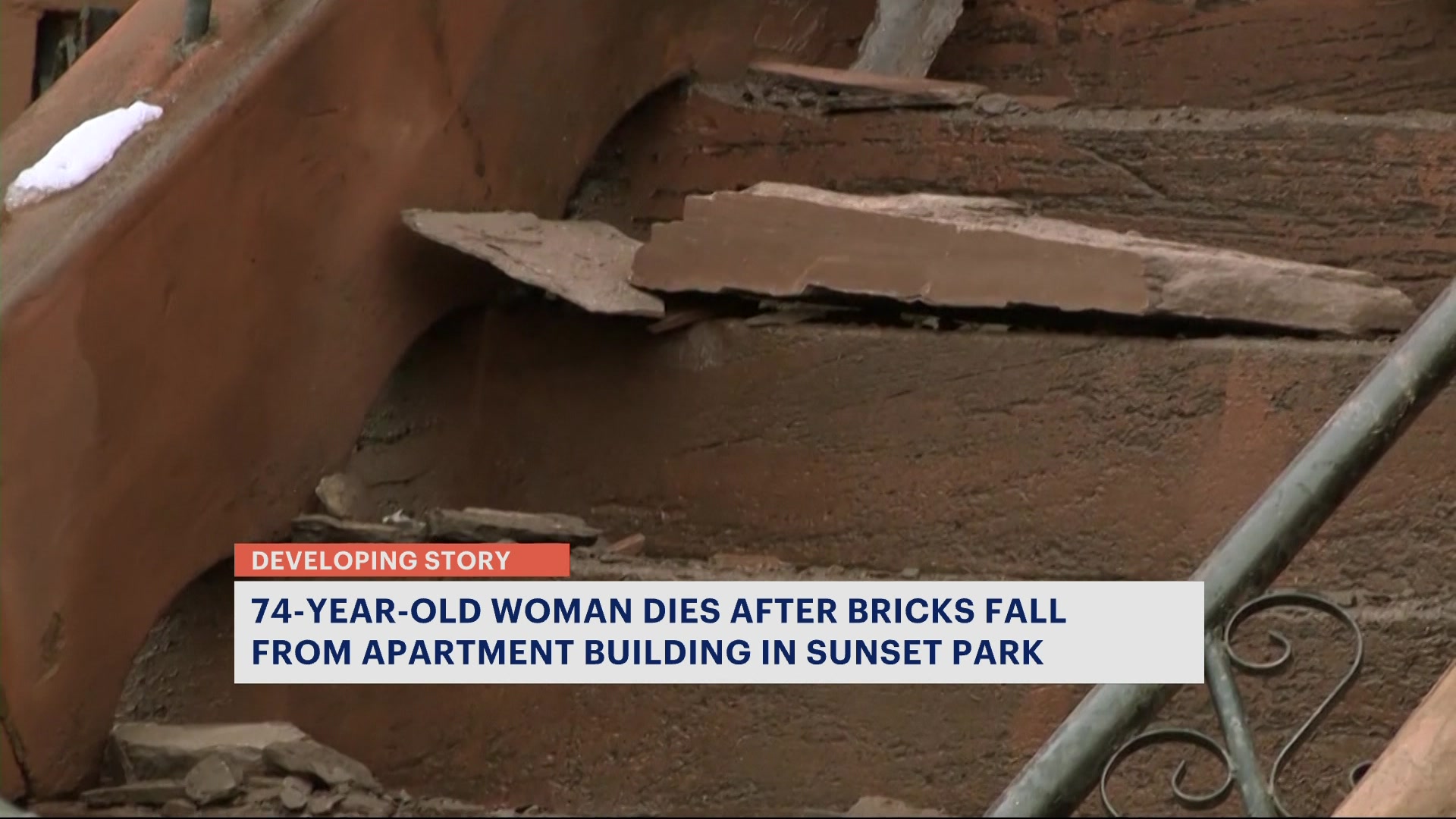 News 12 | Bronx | Nypd 74 Year Old Woman Fatally Hit In The Head With ...