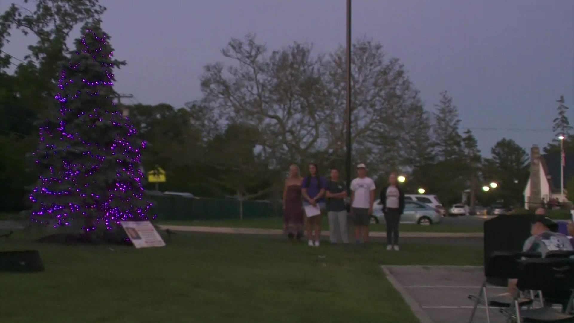 News 12 | Long Island | Tree-lighting ceremony hopes to break stigma of ...