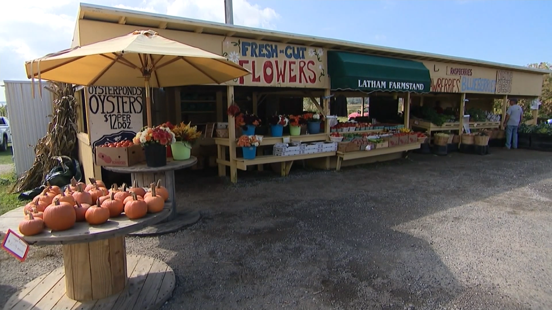 News 12 | Long Island | East End: Latham Farms