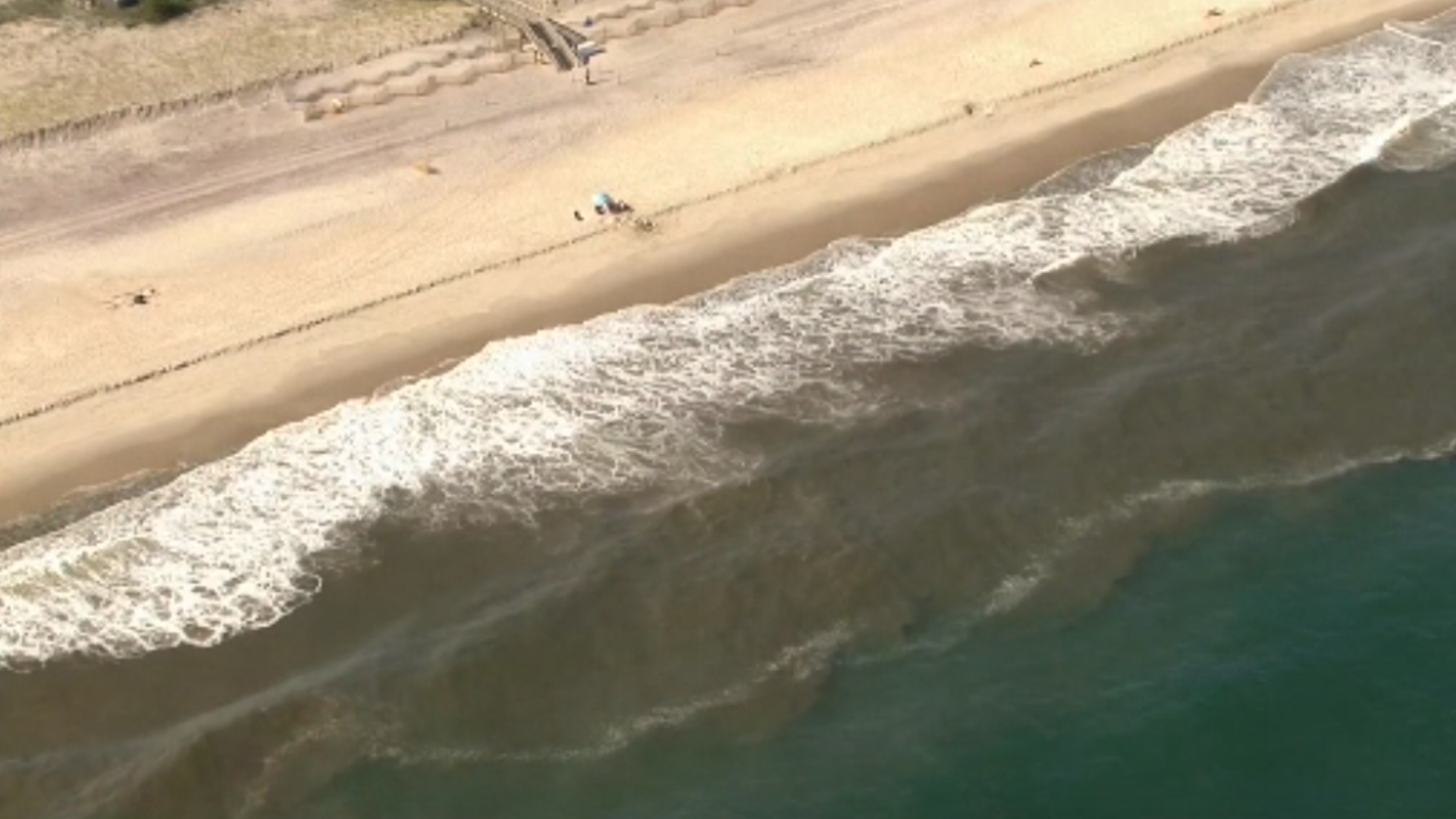 News 12 | Connecticut | I Thought It Was Following Me Lifeguard Bitten ...