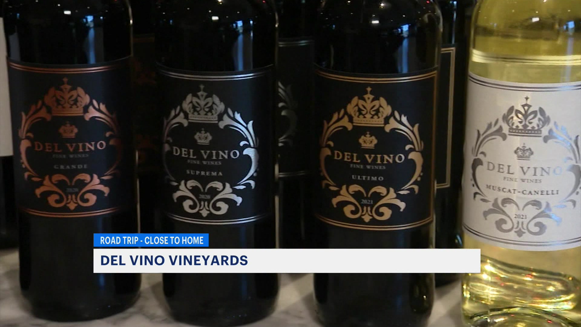 Visit Del Vino Vineyards in Northport for the holidays