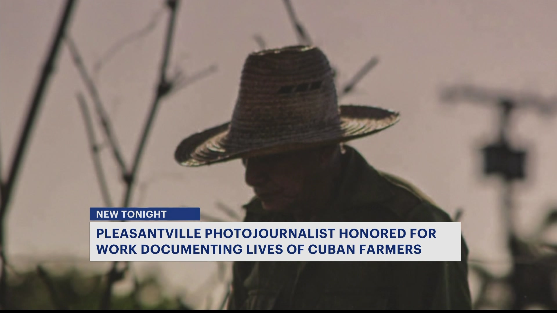 Photojournalist honored for work documenting lives of Cuban farmworkers