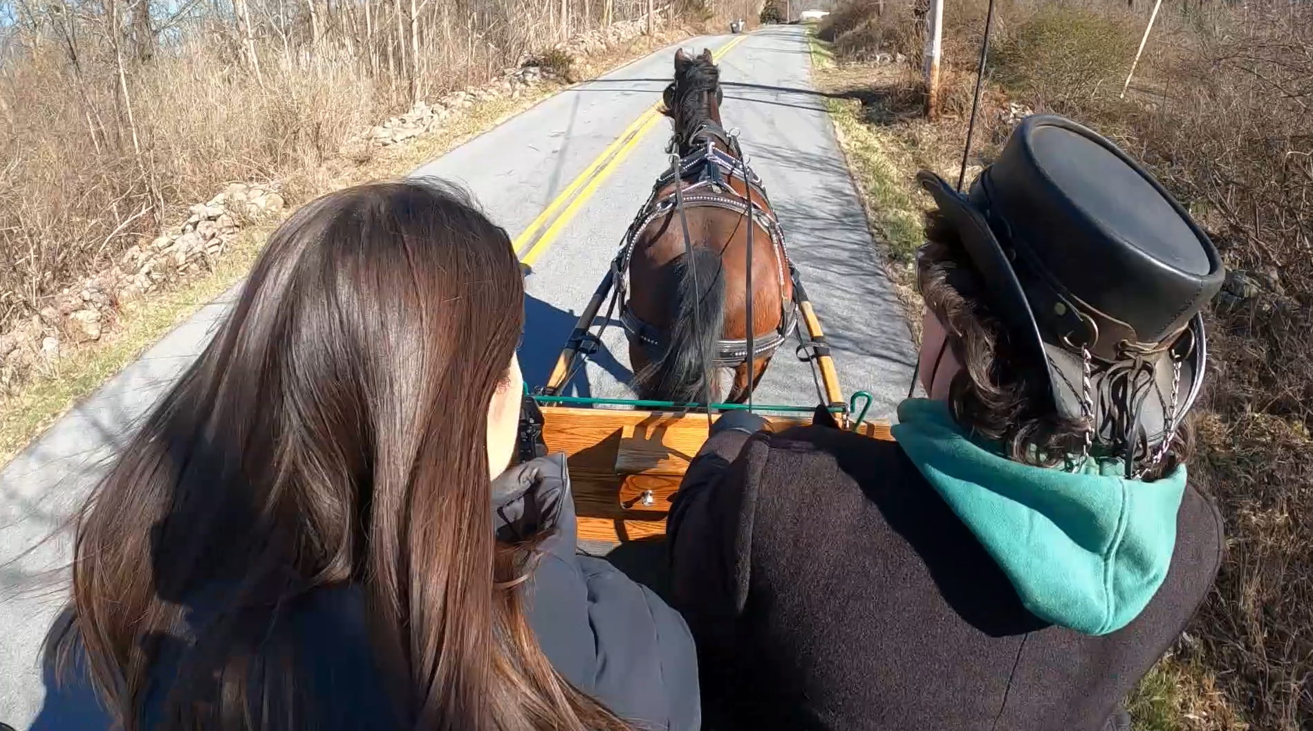 Take a horse-drawn carriage adventure in Middletown with Celtic Valley ...