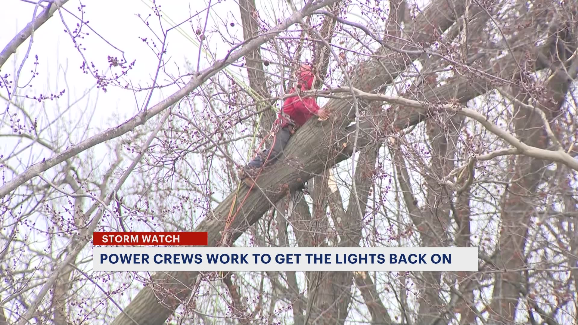 New Jersey utility crews work to restore power to thousands impacted by Tuesday storm