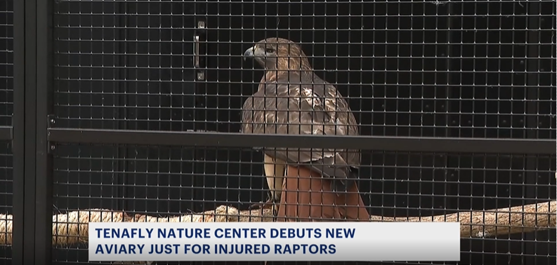 New aviary for injured raptors unveiled at Tenafly Nature Center