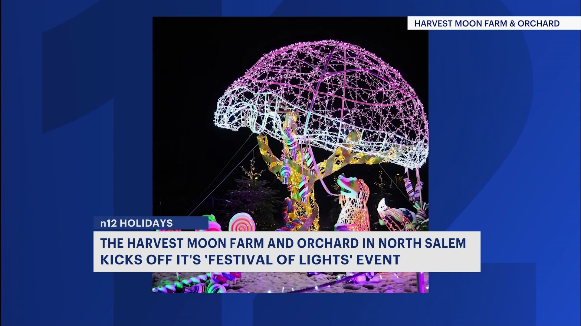 Harvest Moon Farm and Orchard opens 'Festival of Lights'