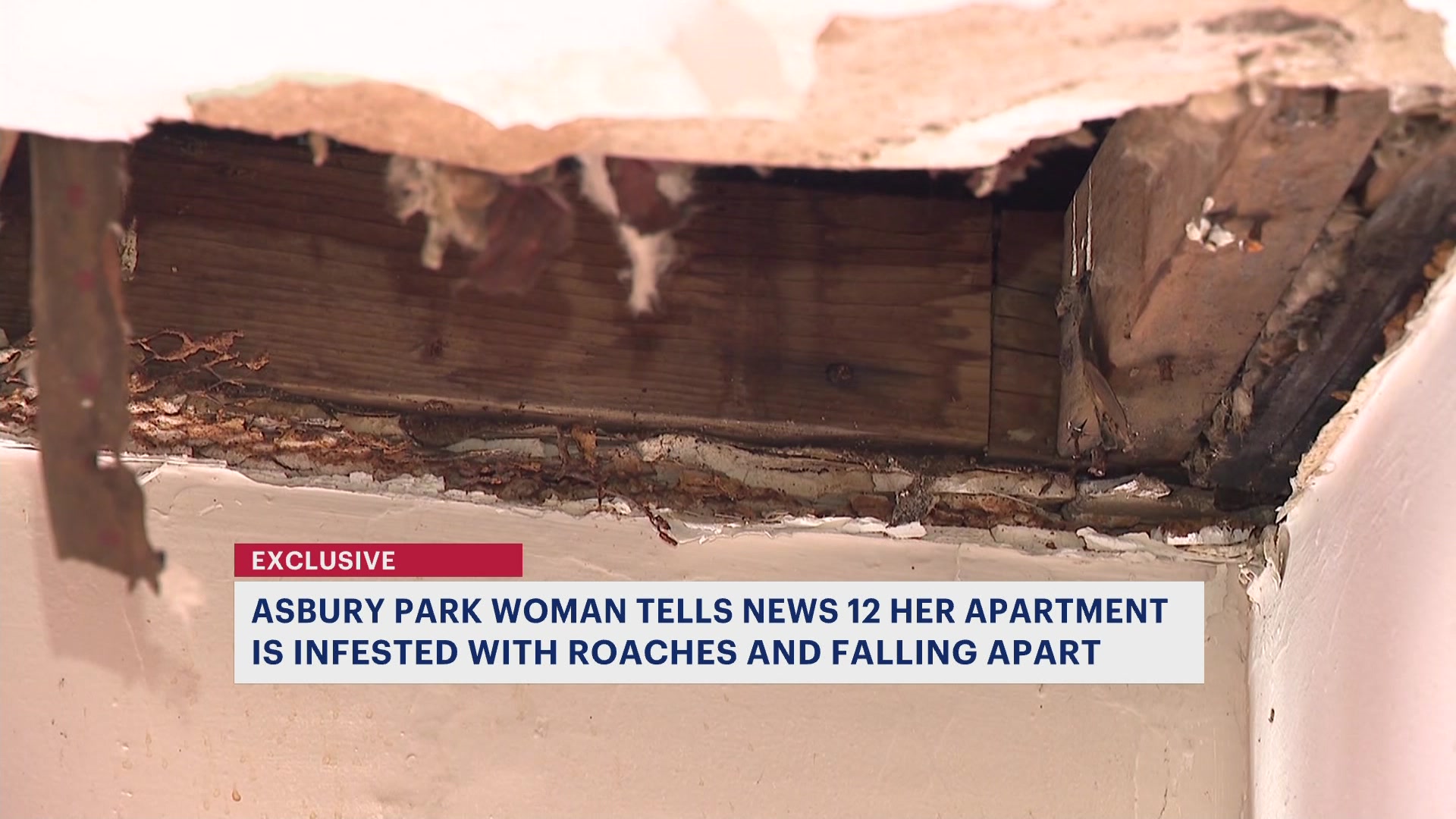 Exclusive: Tenants claim Asbury Park apartment building is infested ...