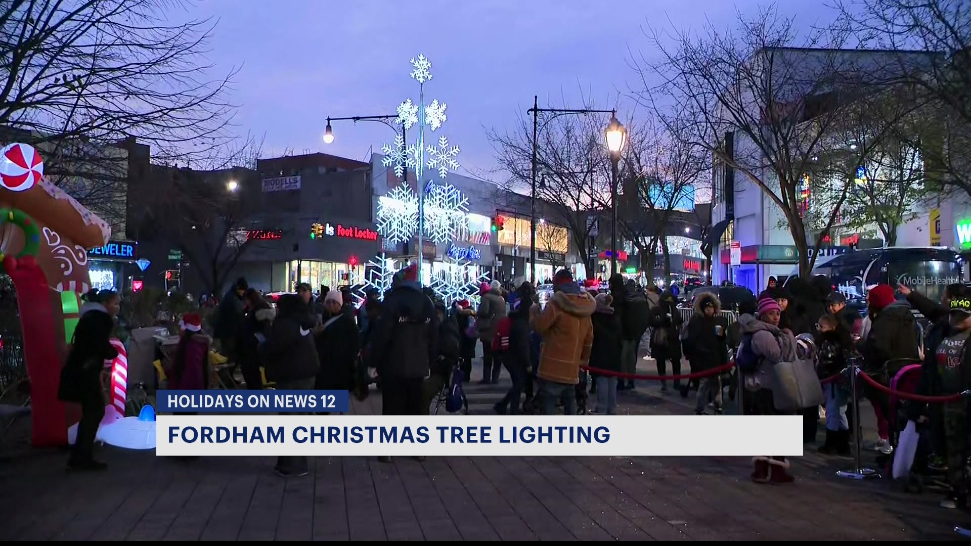 'Sparkling the Heart of Fordham' tree lighting held on Fordham Road