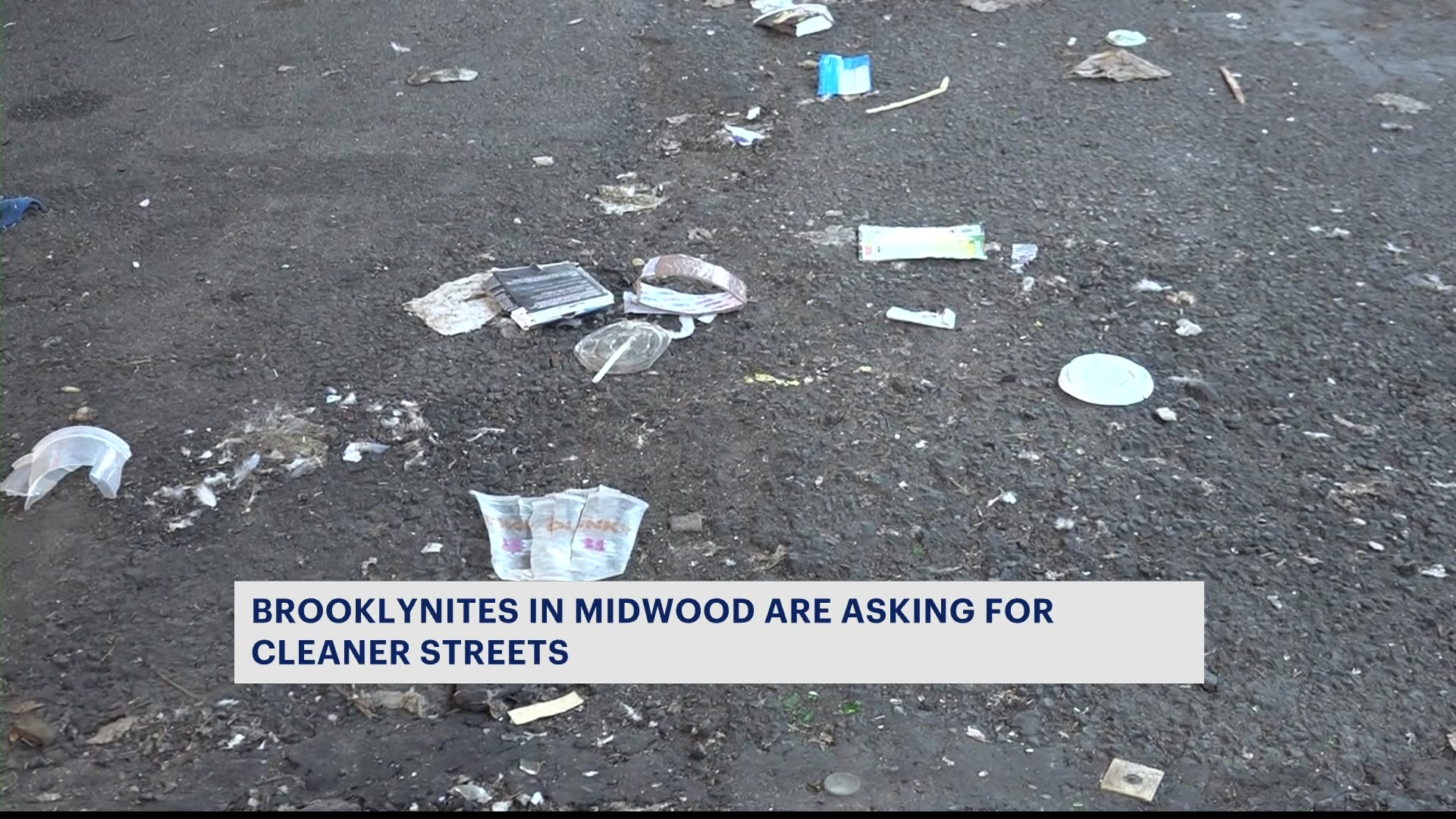 News 12 | The Bronx | Trash ruining some parts of McDonald Avenue in ...