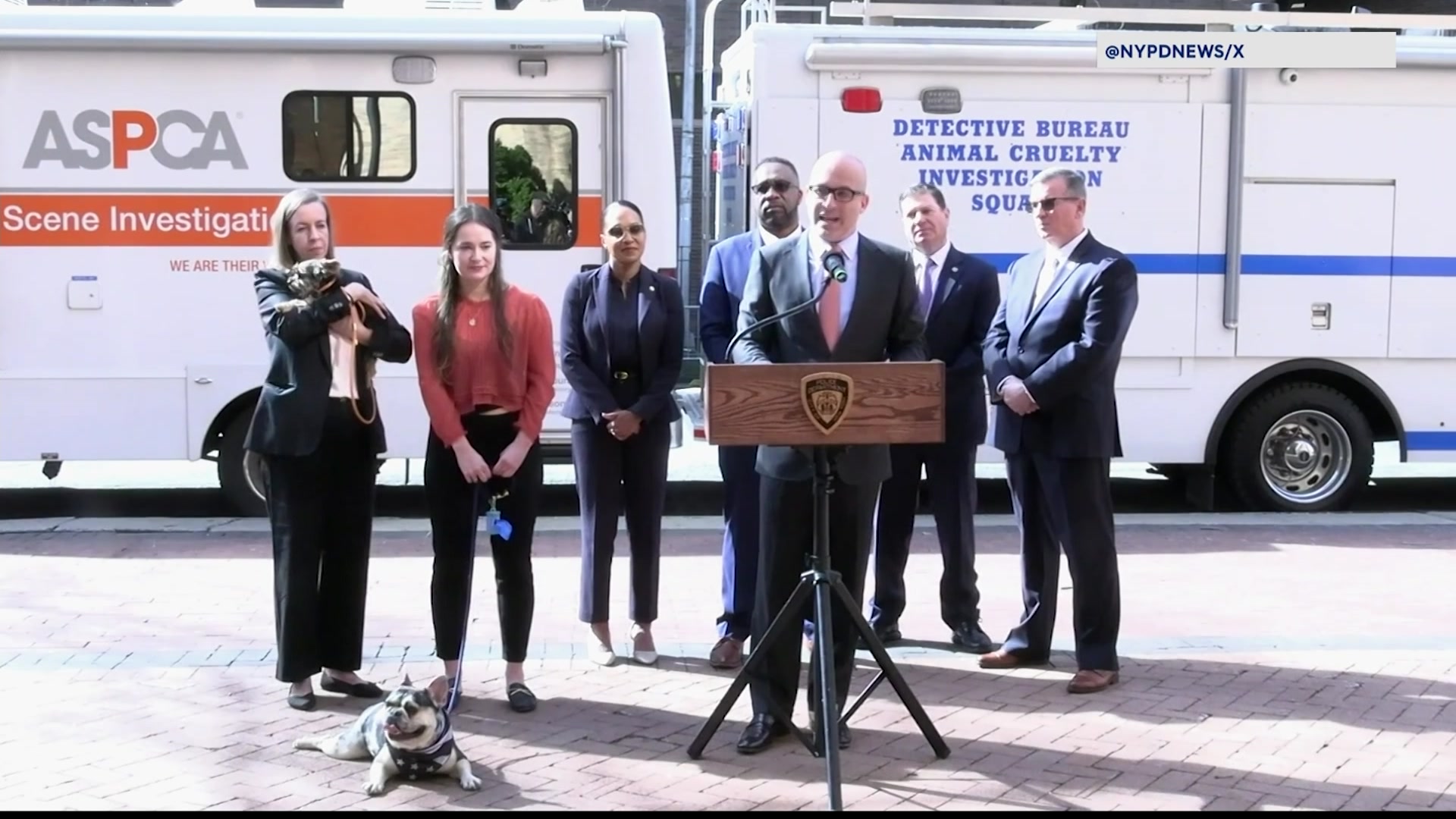 NYPD, ASPCA: Over 5,000 animals rescued since start of partnership