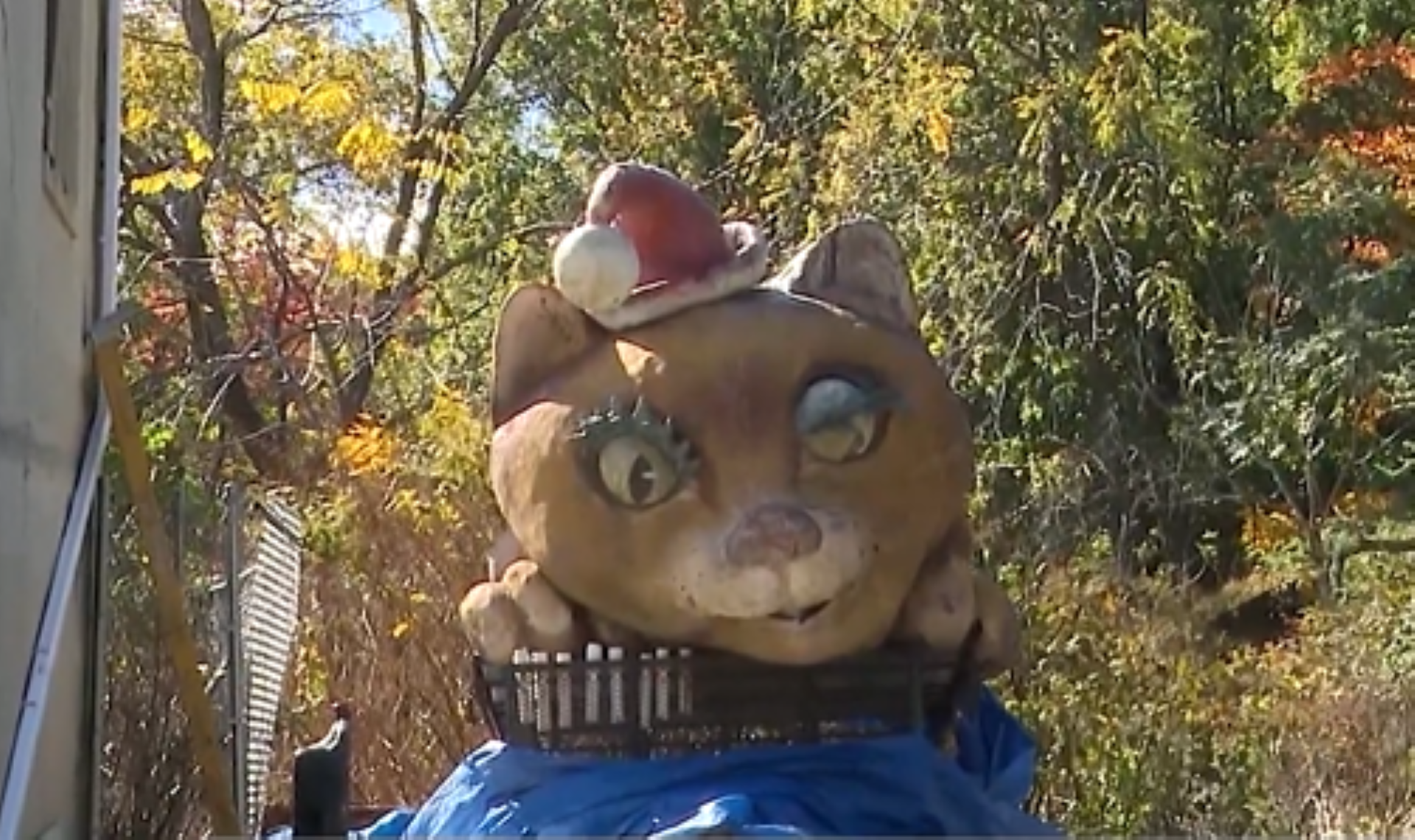 1,000-lb cat float from Macy's Thanksgiving Day Parade finds home in HV