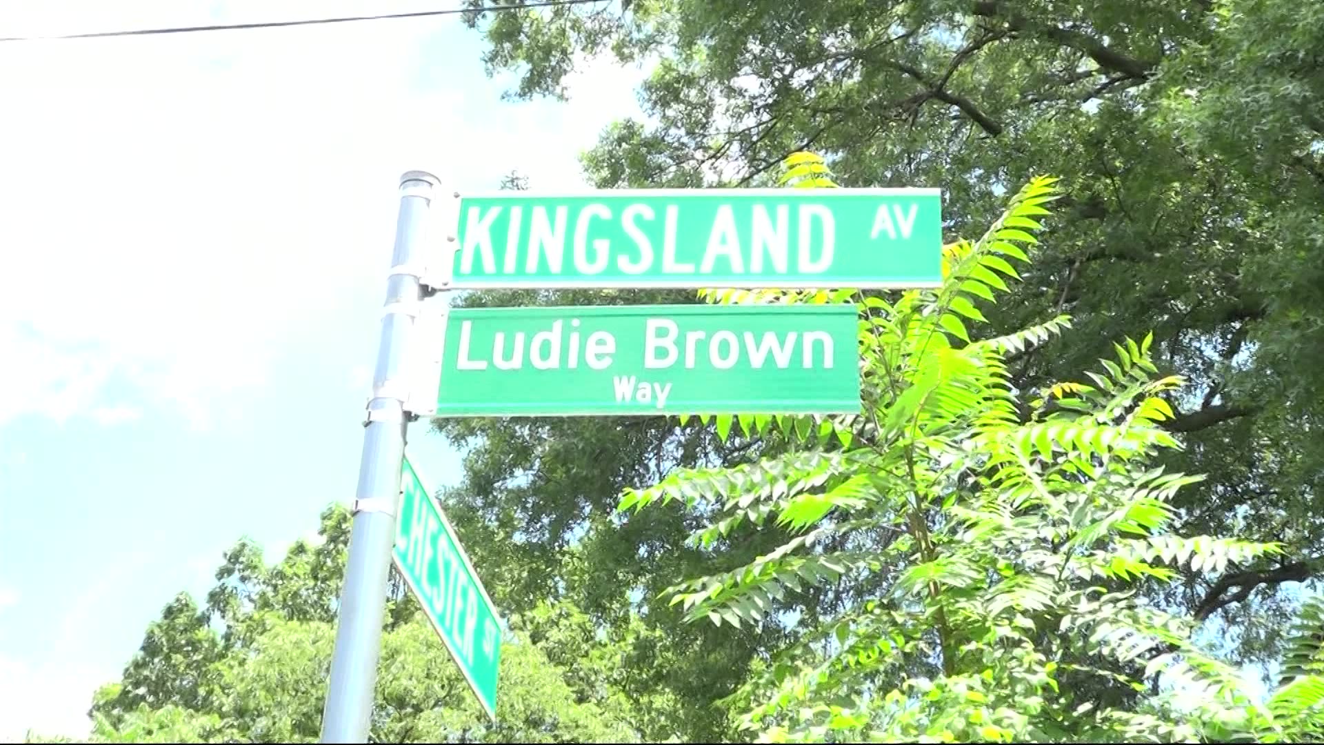 Bronx intersection renamed to honor longtime resident of Baychester ...