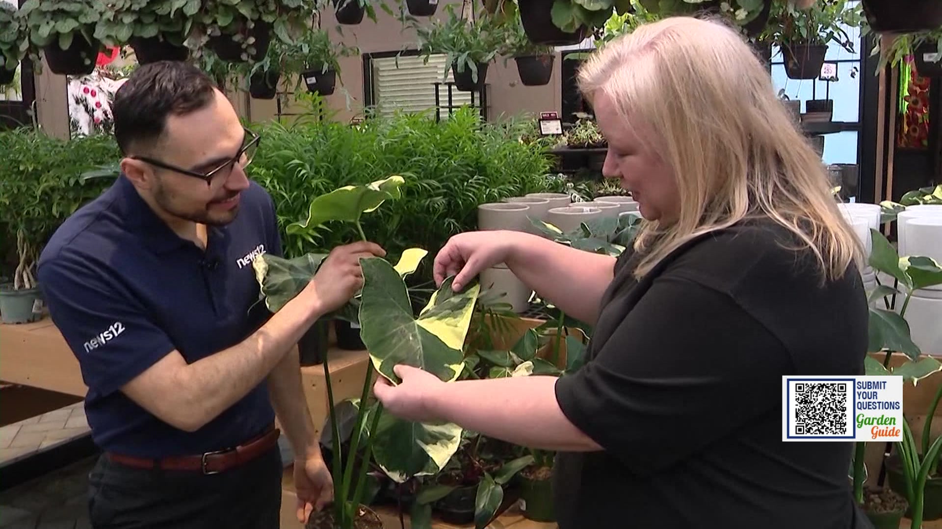News 12 | Bronx | Garden Guide House Plants