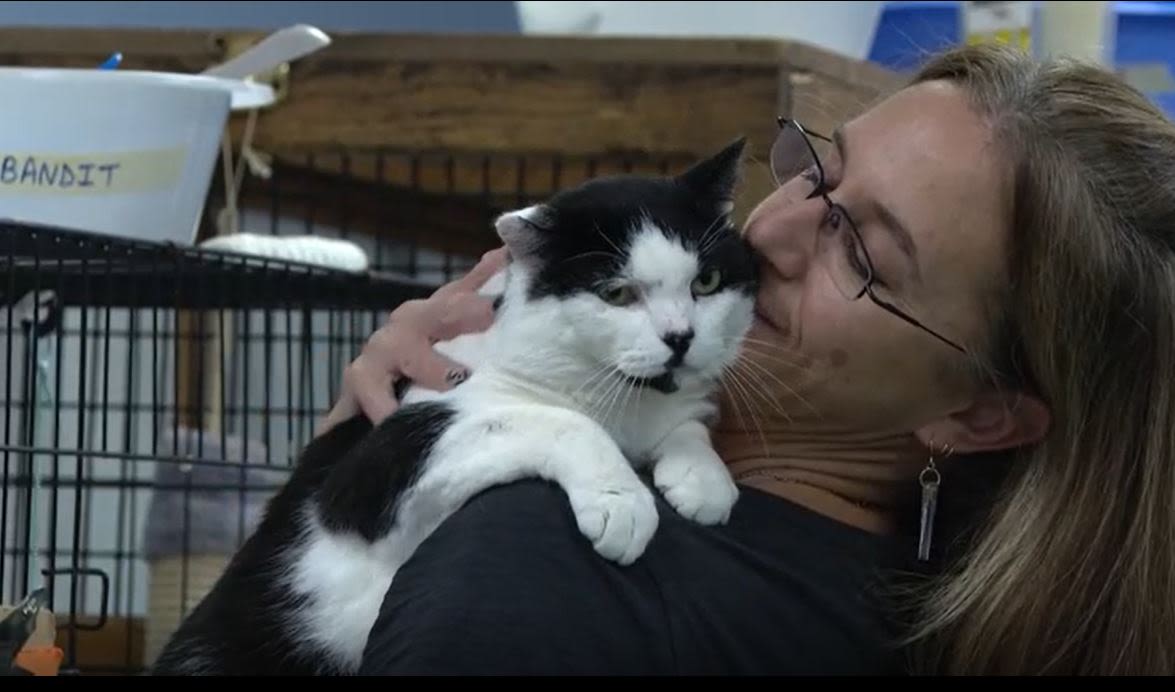 Rhode Island woman creates pet keepsakes for those who lost a pet