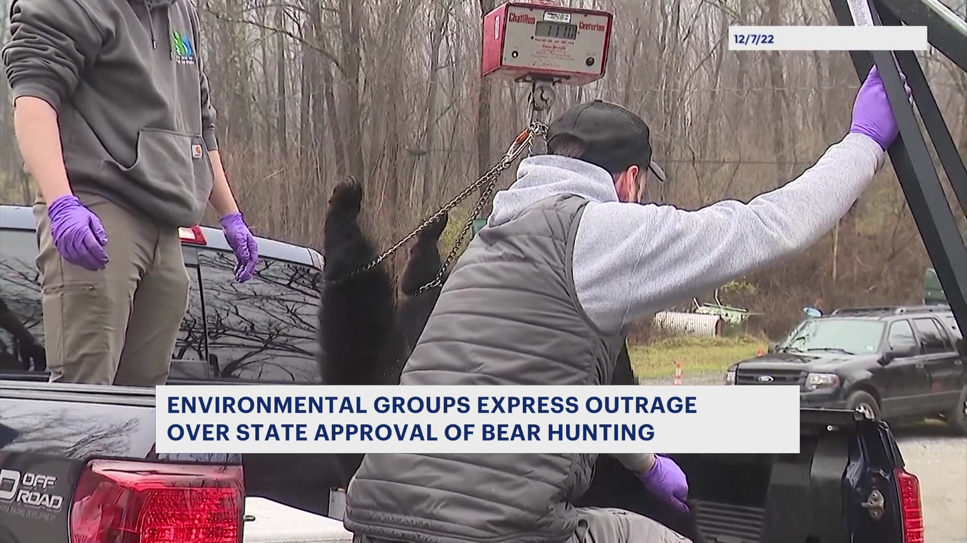Anti-bear hunt advocates threaten to withhold support to political ...