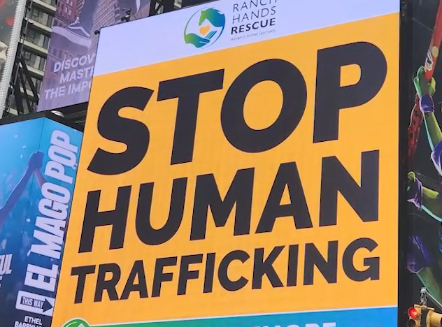 NYC's dark secret: The truth about male sex trafficking