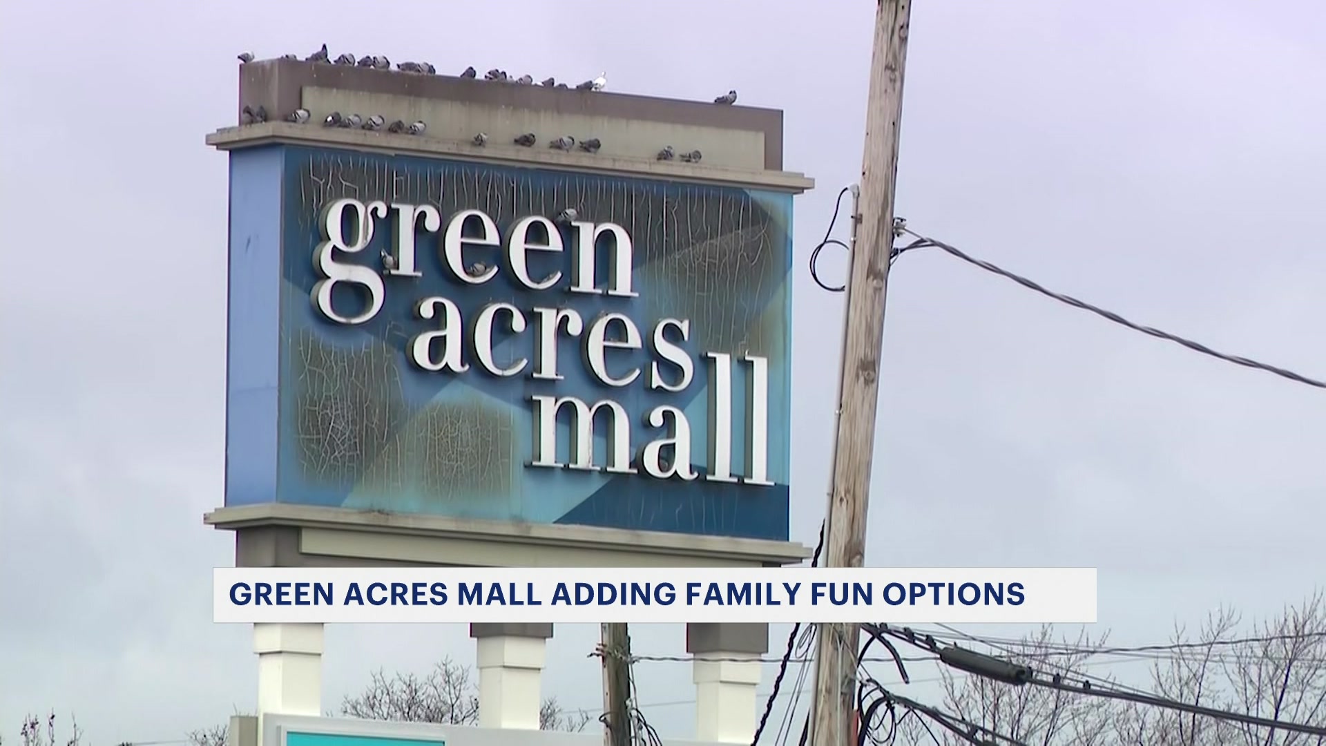 News 12 | Bronx | Green Acres Mall Set To Welcome Launch Family ...