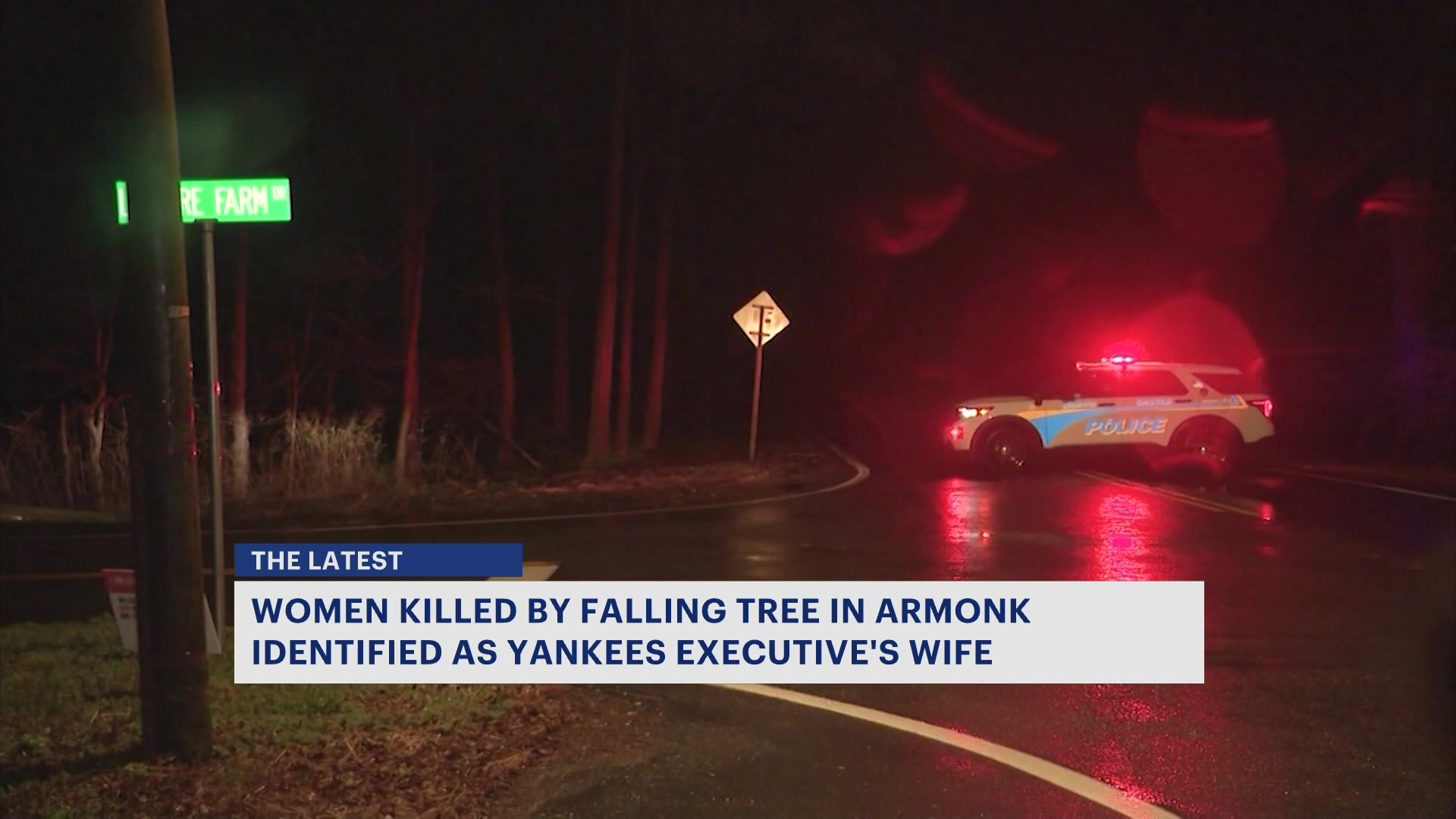 News 12 | Hudson Valley | Woman Killed By Falling Tree In Armonk ...