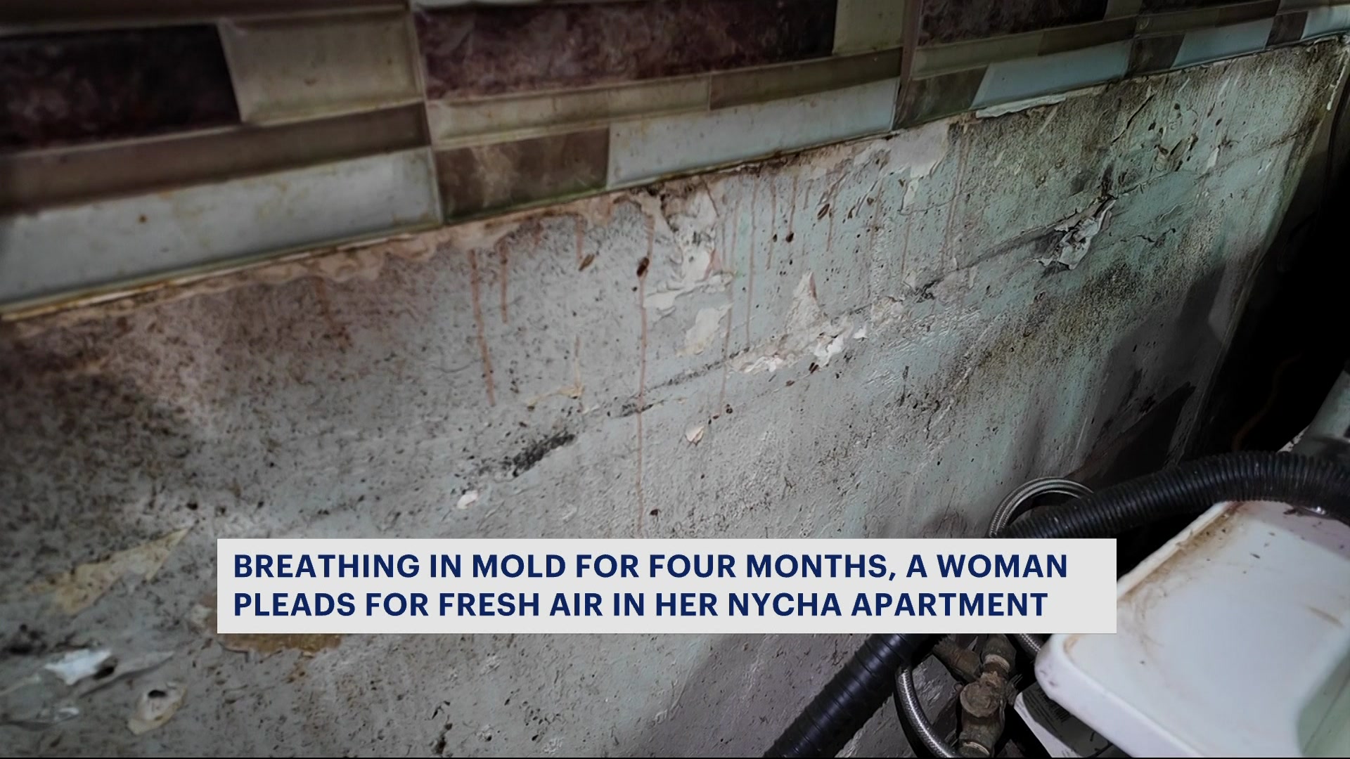 News 12 | Brooklyn | NYCHA tenant says she's been breathing in mold for ...