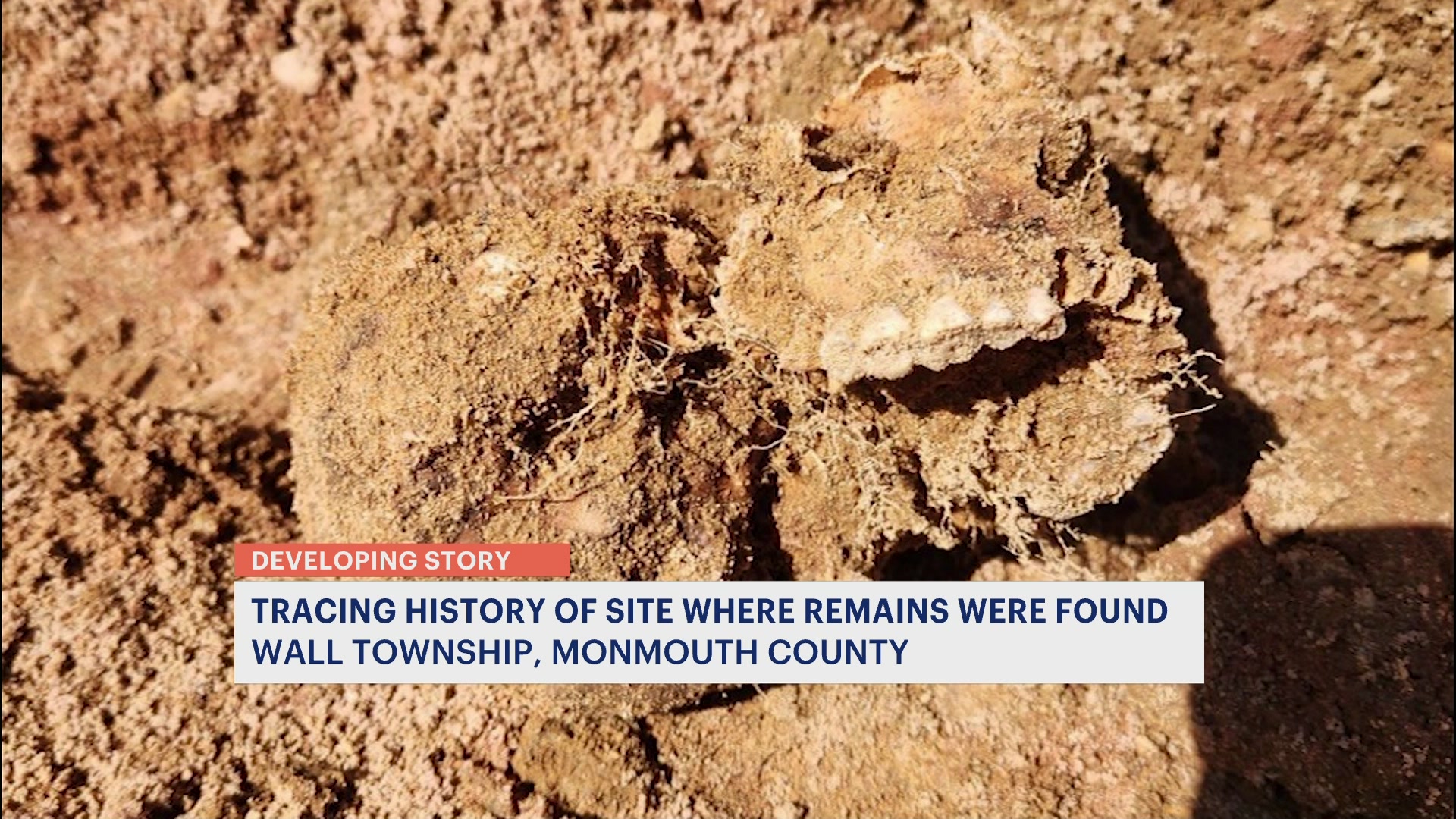 Origin of skeletal remains found in Wall Township remains unclear but ...
