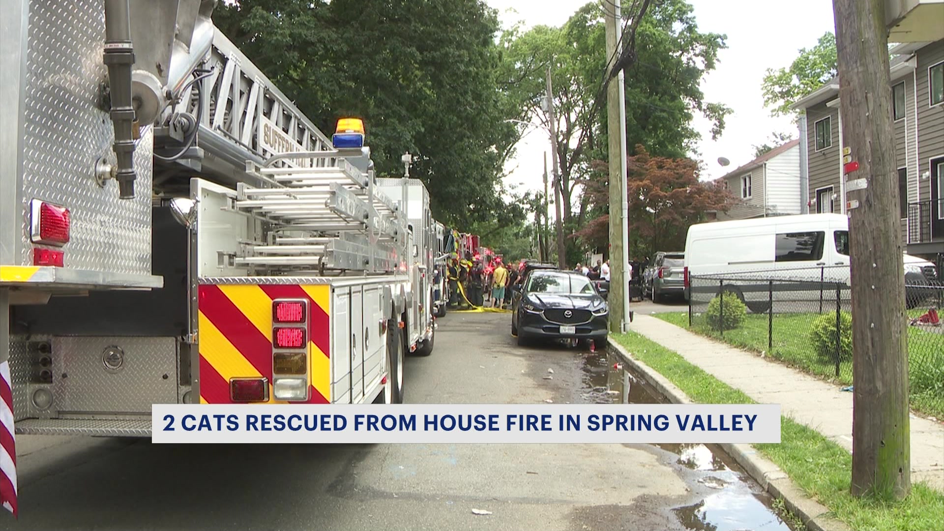 2 cats rescued from house fire in Spring Valley