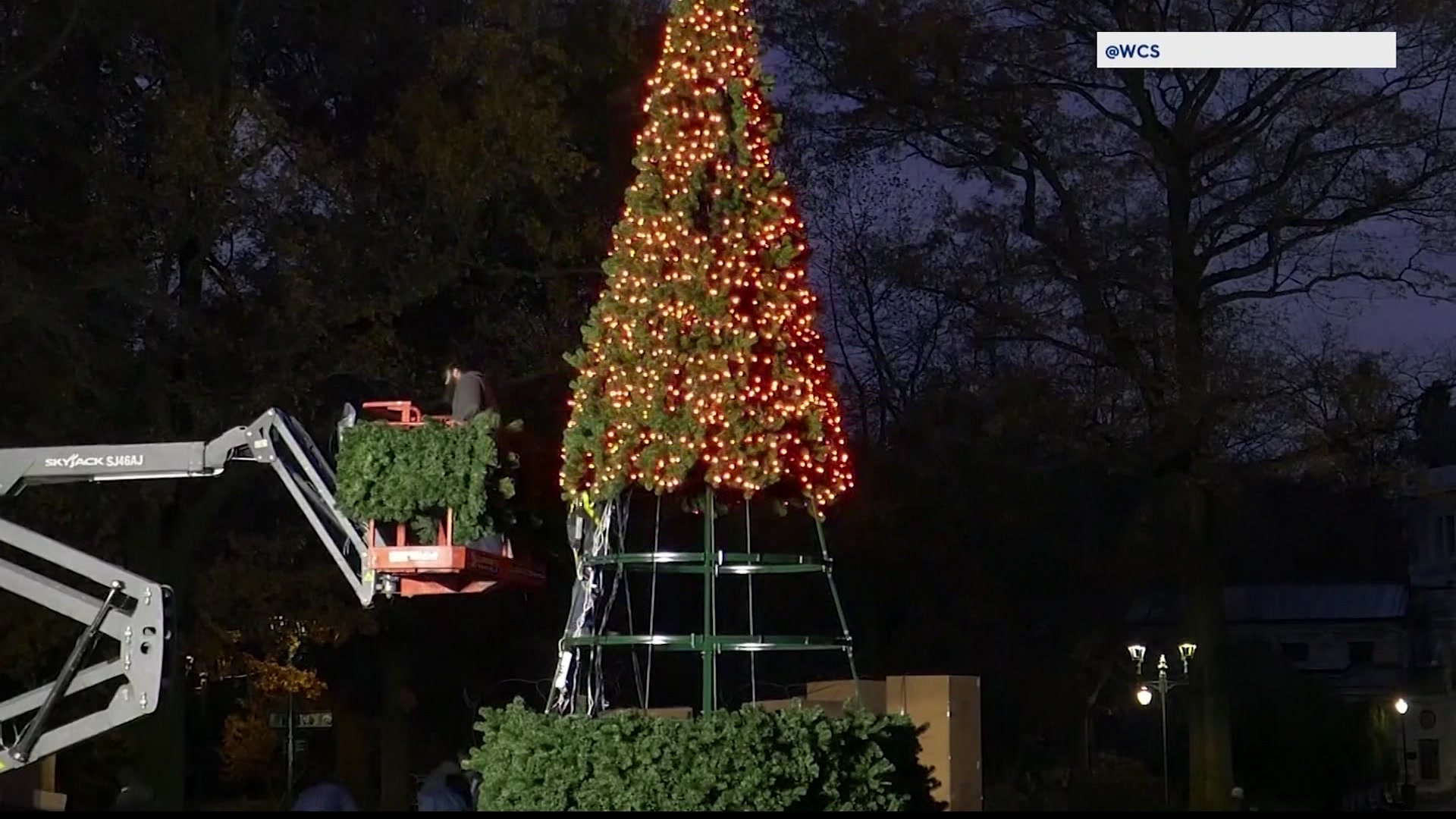 News 12 | Bronx | Holiday Lights At The Bronx Zoo Set To Make Return ...