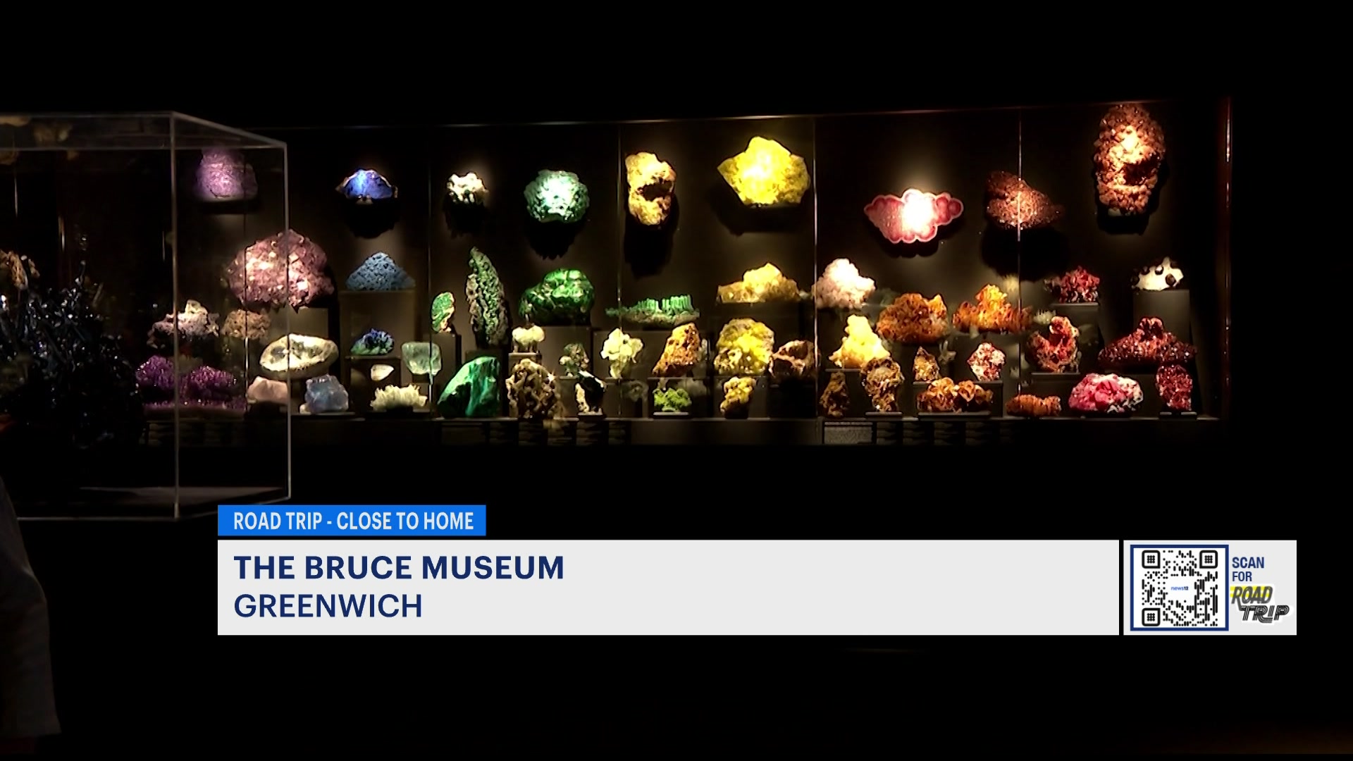 Newly renovated Bruce Museum brings art, science and natural history ...