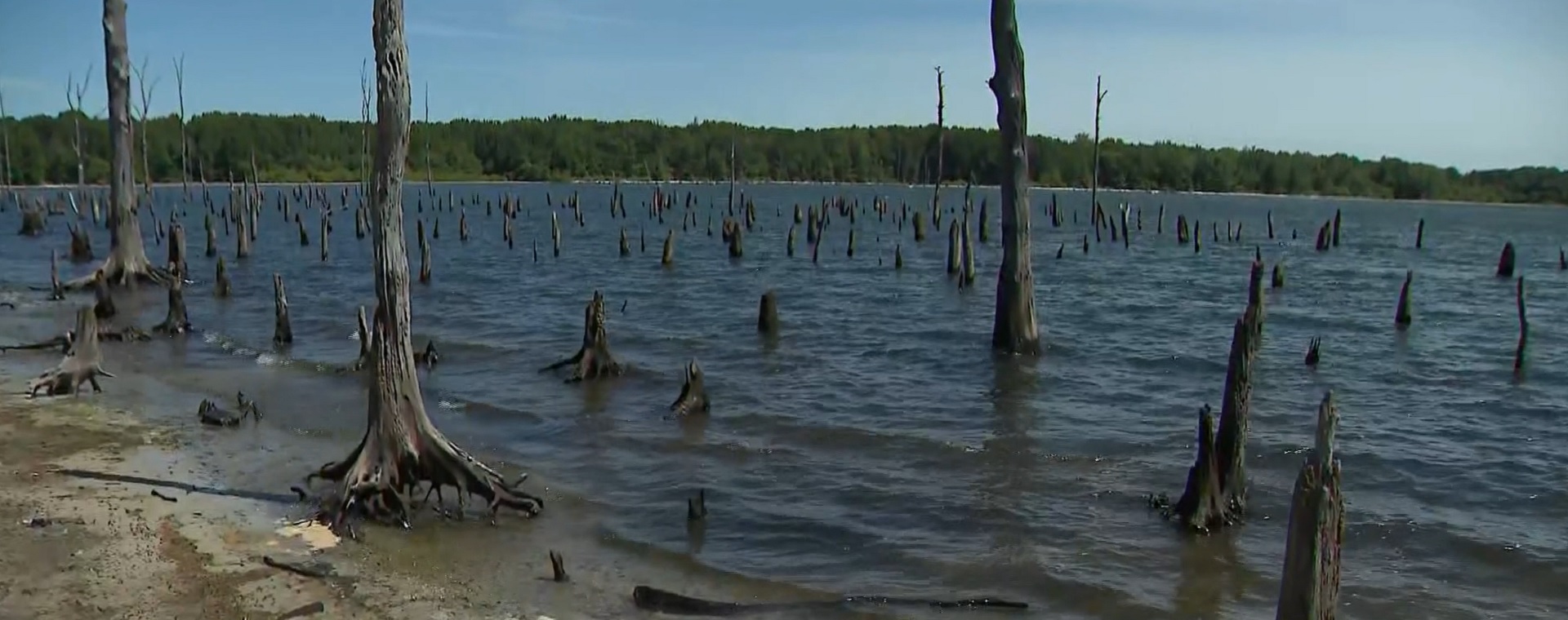 News 12 | New Jersey | Dep Asks Residents To Conserve Water With New ...